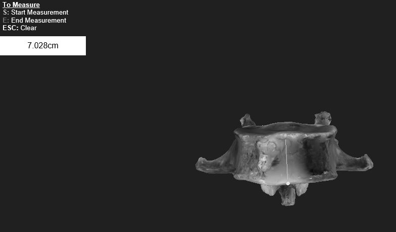 Whale vertebra? - Fossil ID - The Fossil Forum