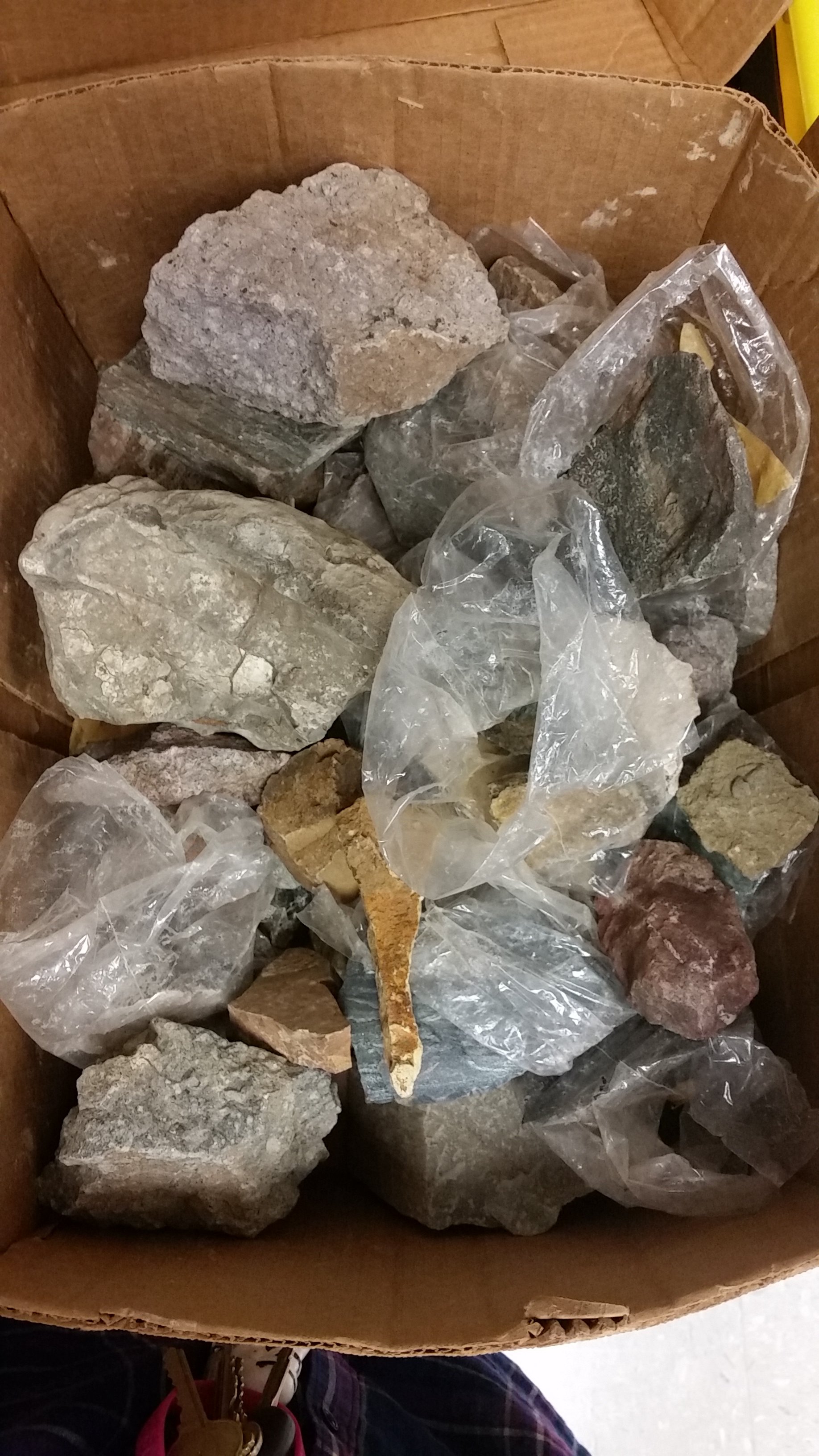 Black Hills Rock Box - Fossil ID - The Fossil Forum