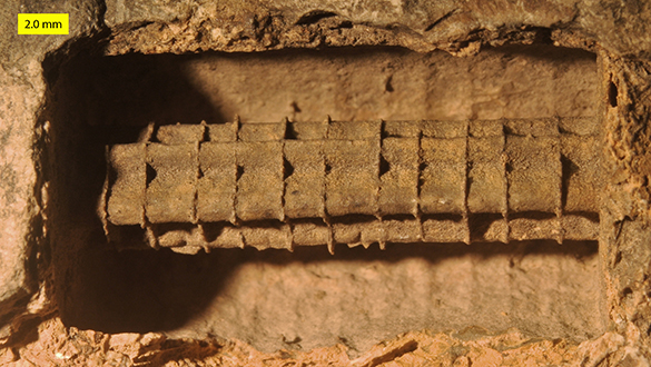 Silurian - crinoid vertebra? - Fossil ID - The Fossil Forum