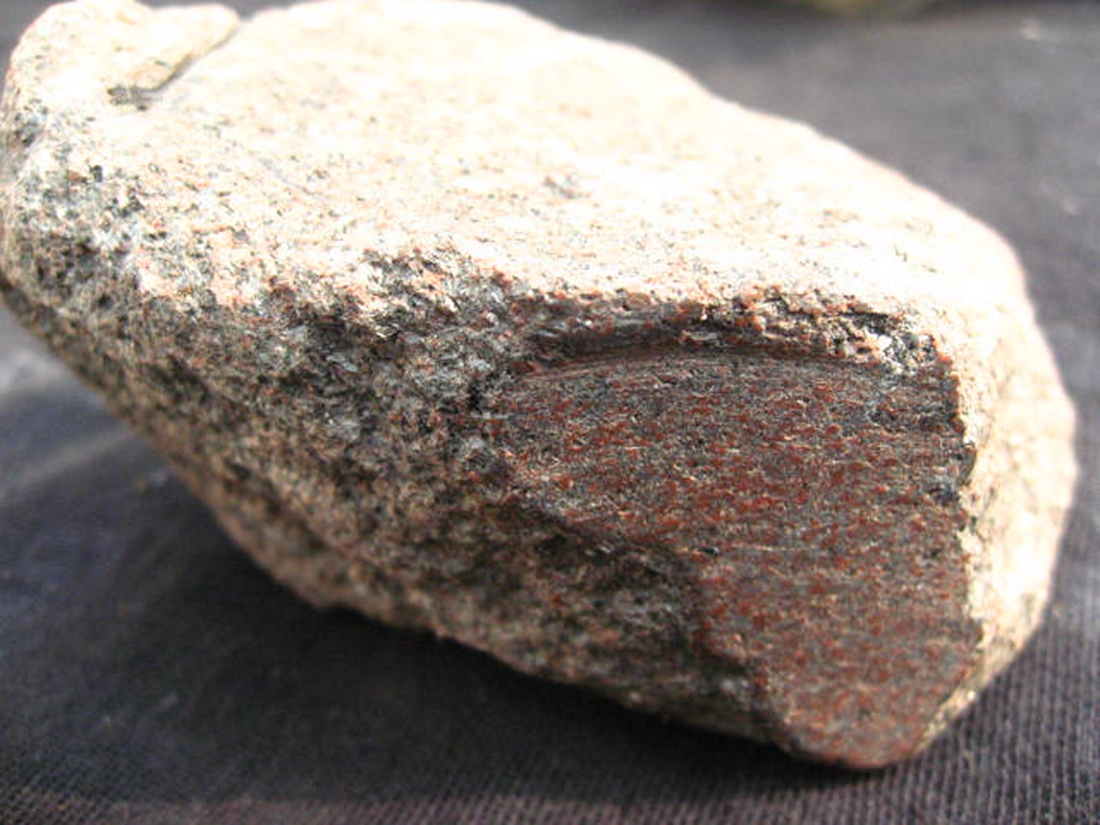 Agatized dinosaur bone - Questions & Answers - The Fossil Forum
