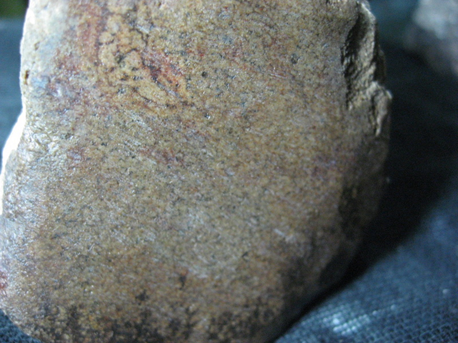 Agatized dinosaur bone - Questions & Answers - The Fossil Forum