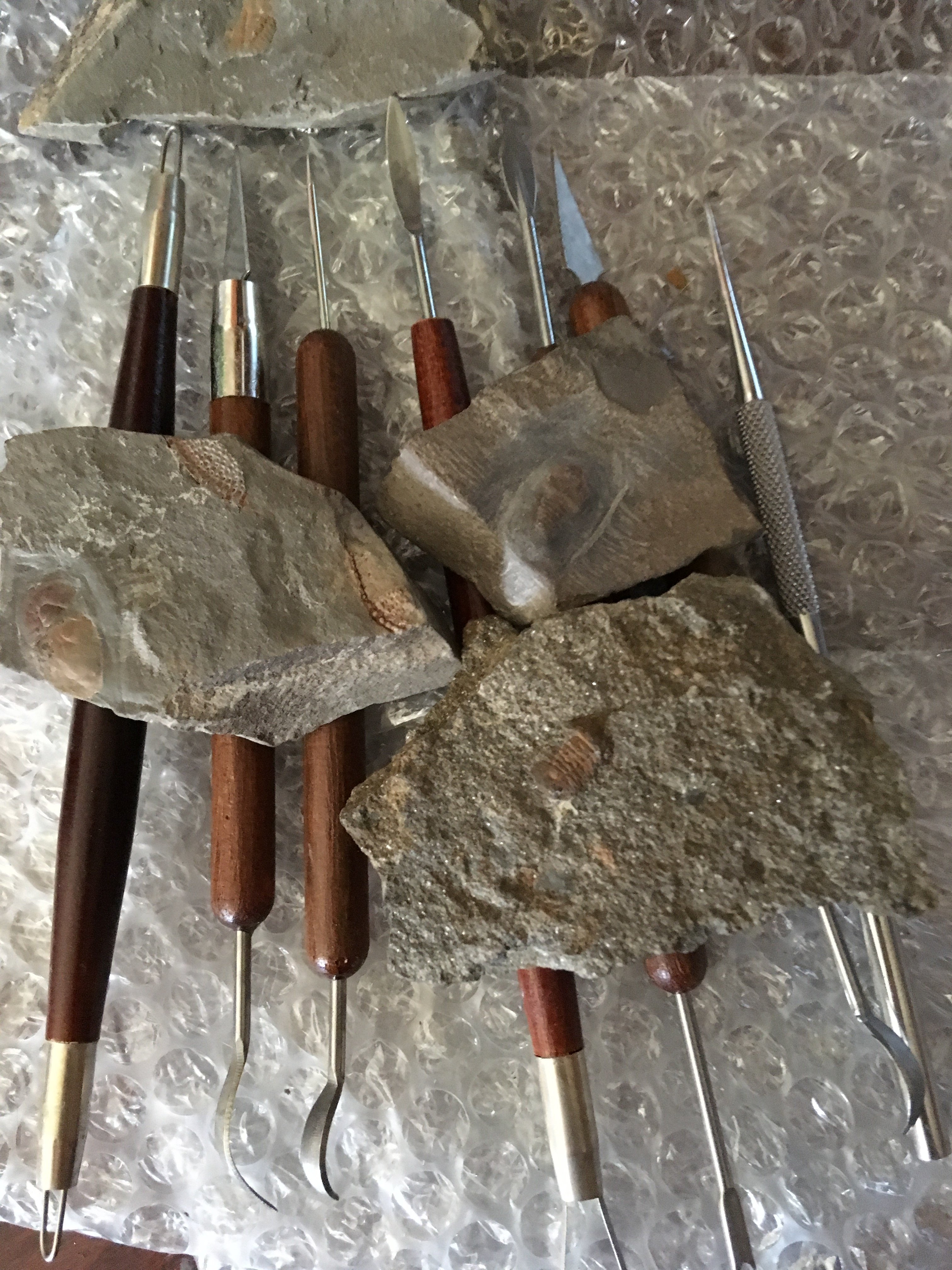 New to hand tools-what I learned so far - Fossil Preparation - The ...
