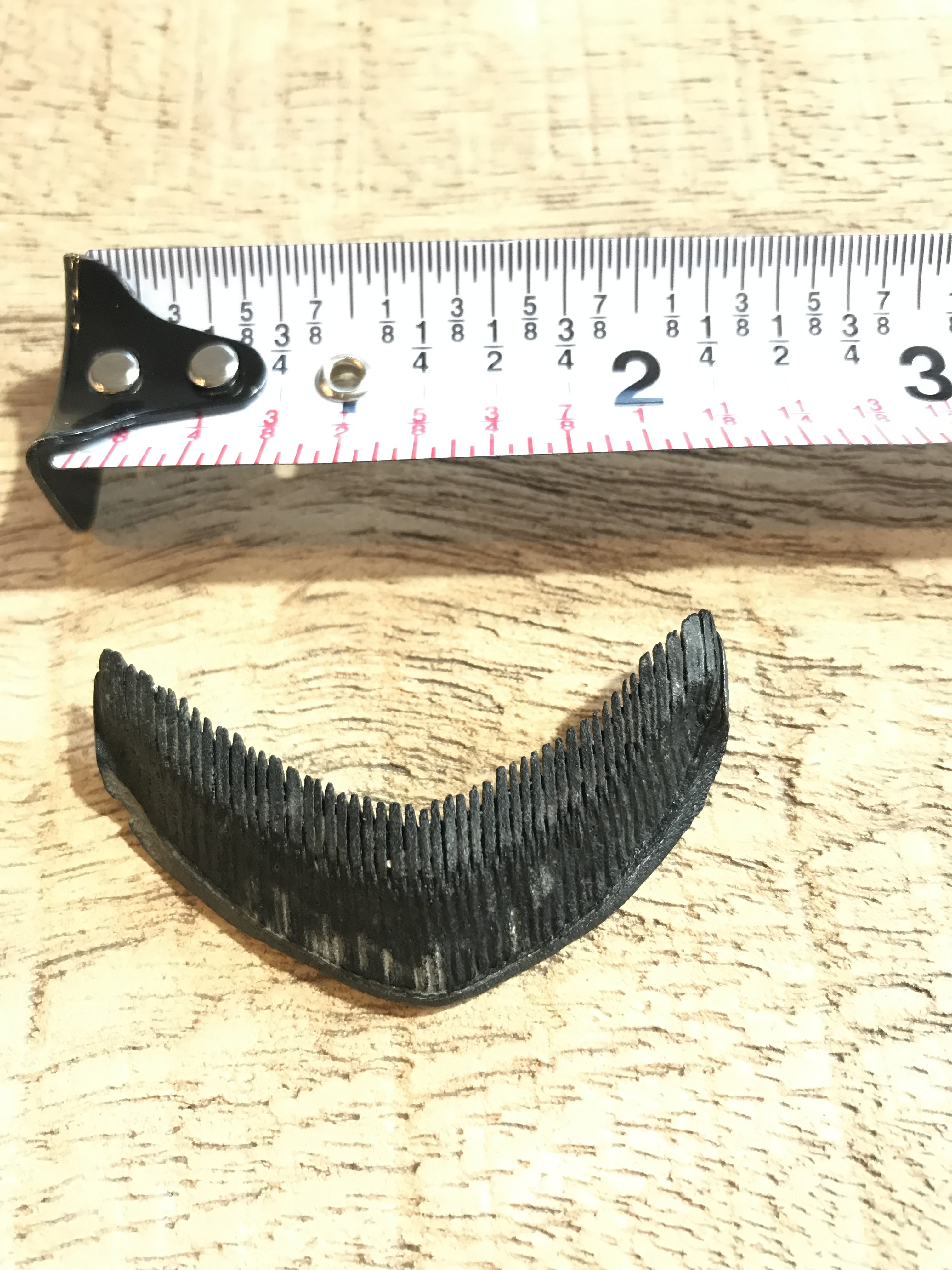 Identification help - stingray mouthplate? - Fossil ID - The Fossil Forum