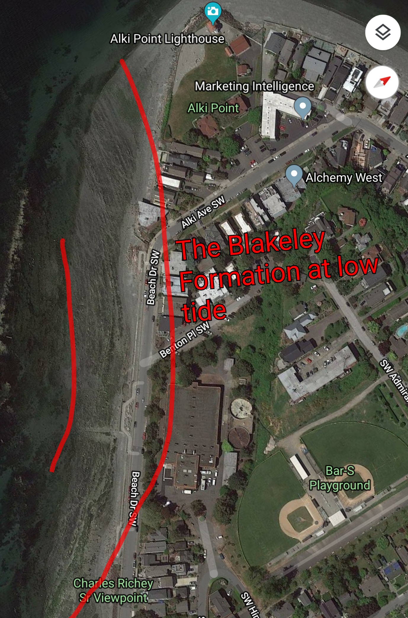 Beach hunting the Blakeley formation in West Seattle? - Fossil Hunting ...