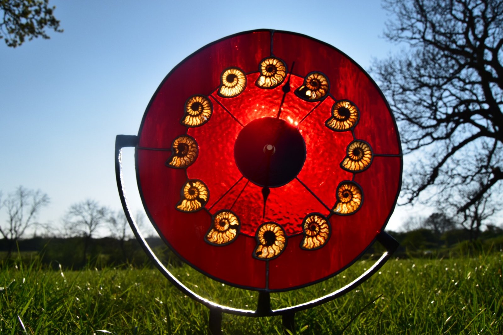 A new ammonite clock. - Member Collections - The Fossil Forum