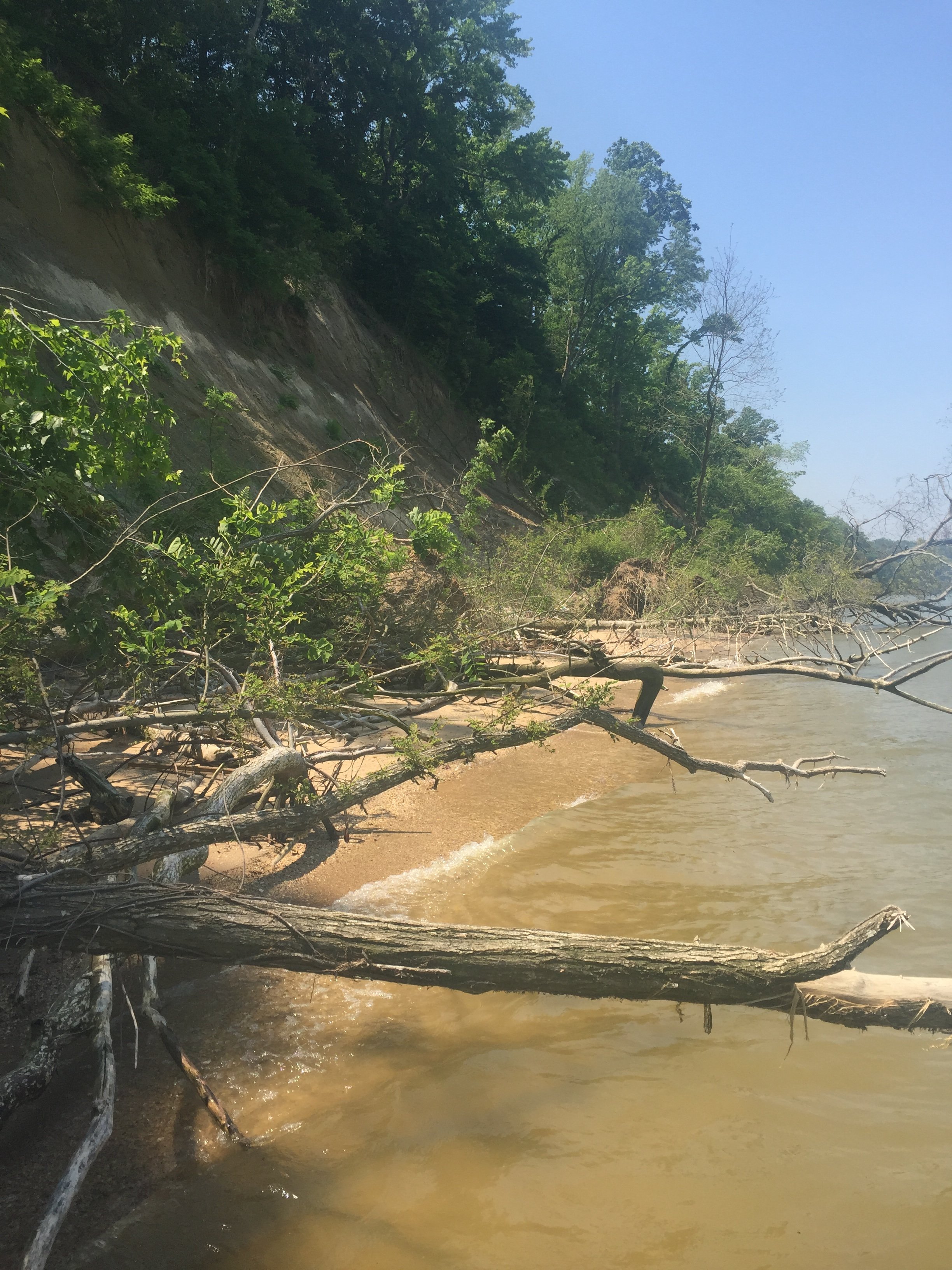 Virginia Miocene Fossil Collecting Trip - Fossil Hunting Trips - The ...