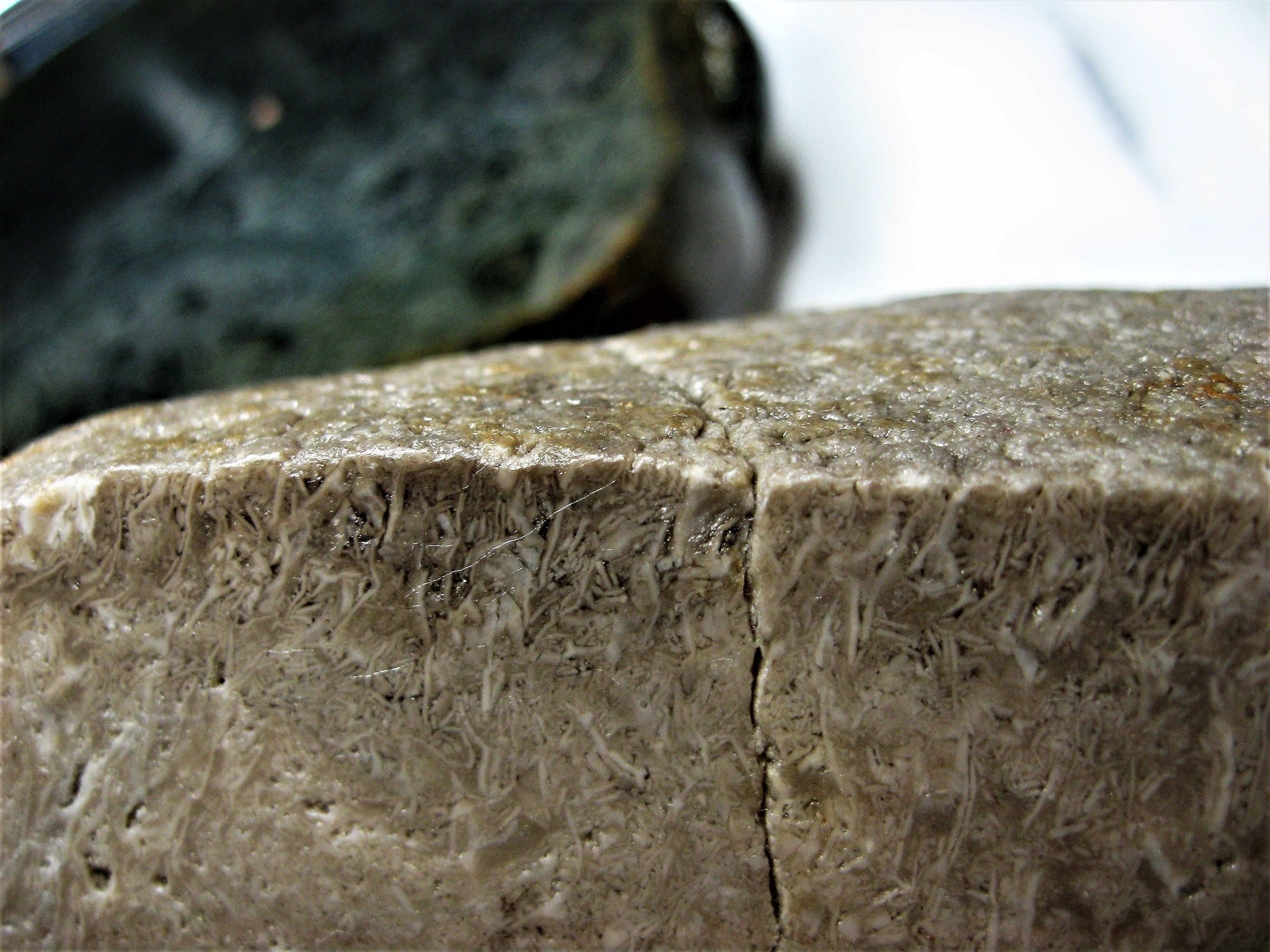 calcareous sponge spicules - Member Collections - The Fossil Forum