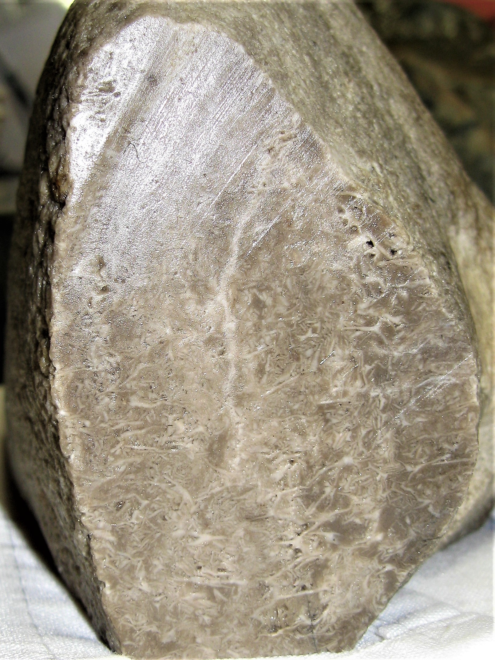 calcareous sponge spicules - Member Collections - The Fossil Forum