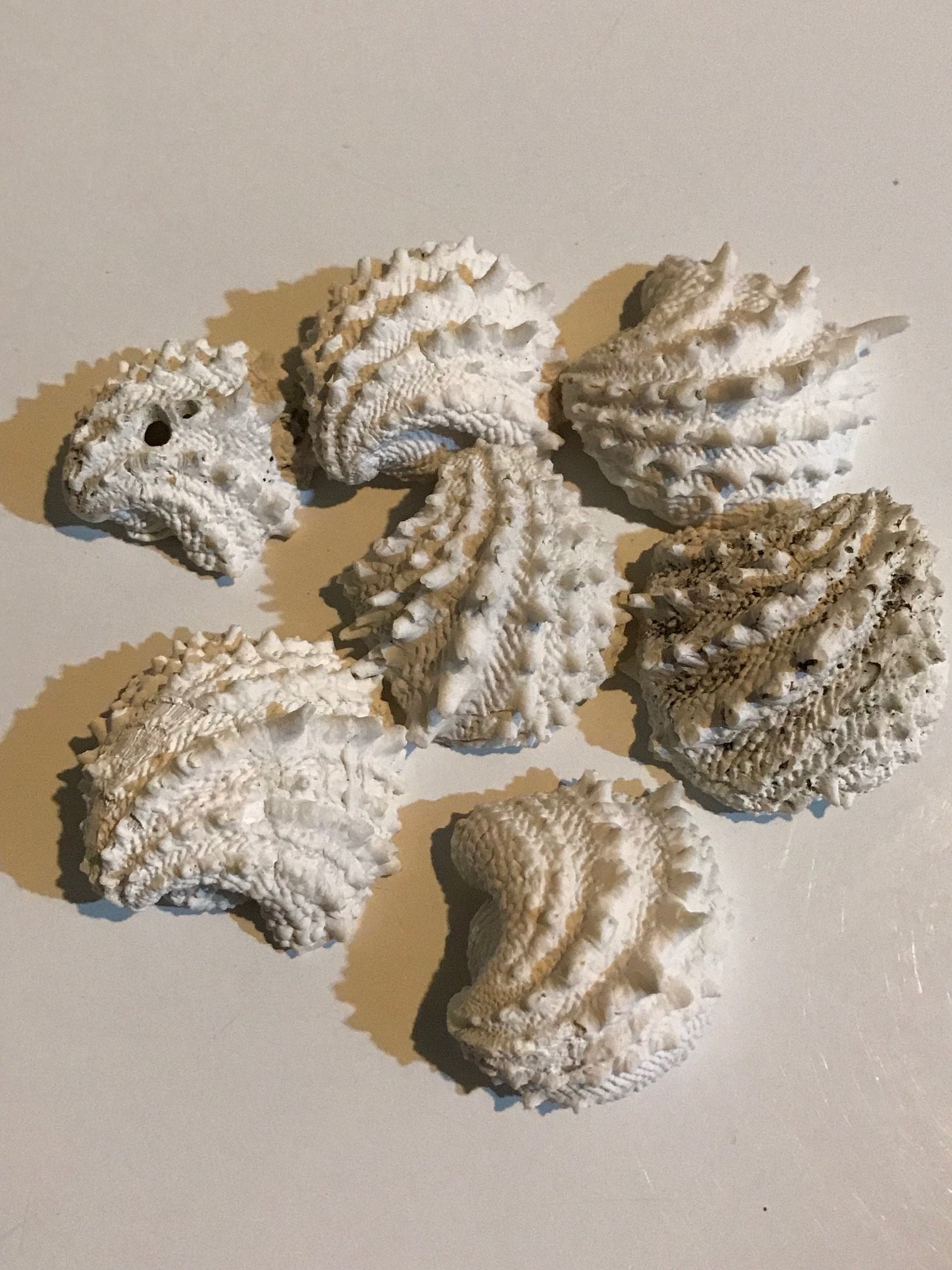 More UV Stuff - General Fossil Discussion - The Fossil Forum