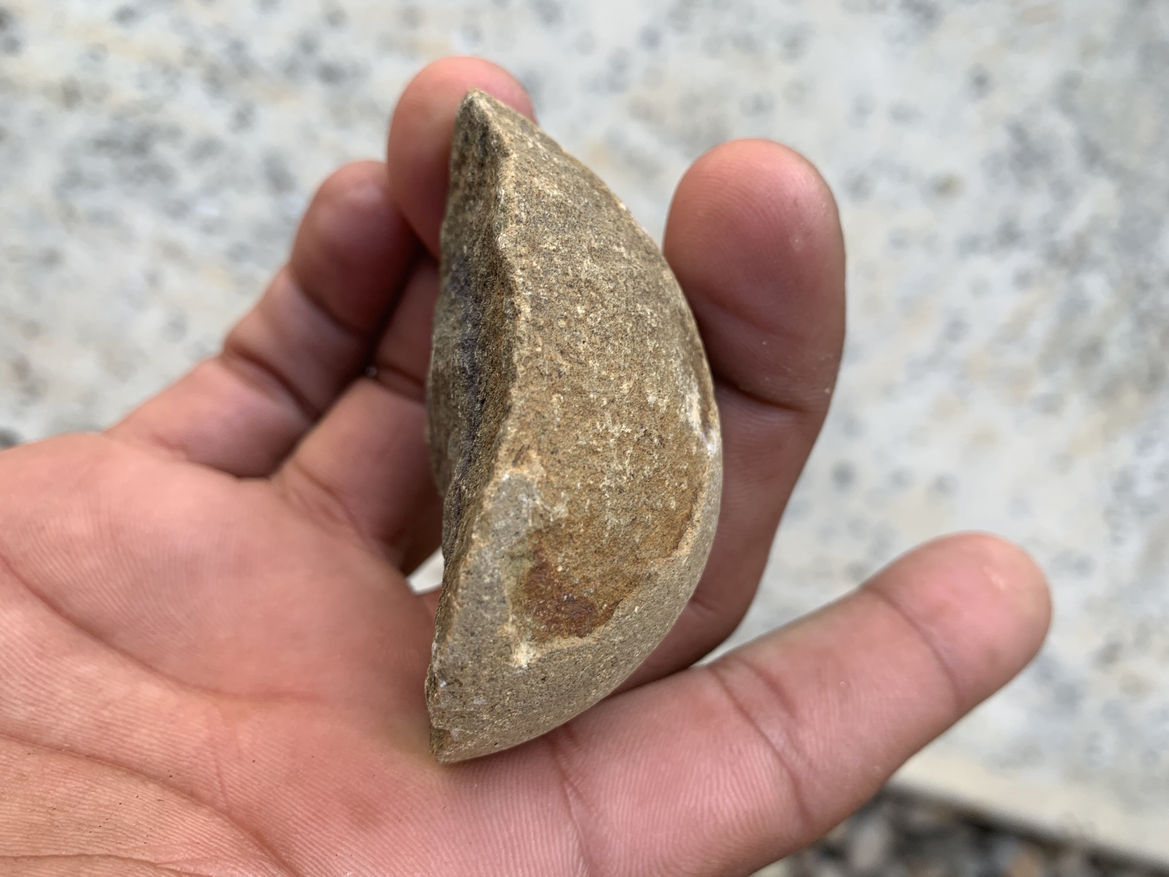 Weird - Rocks & Minerals - The Fossil Forum