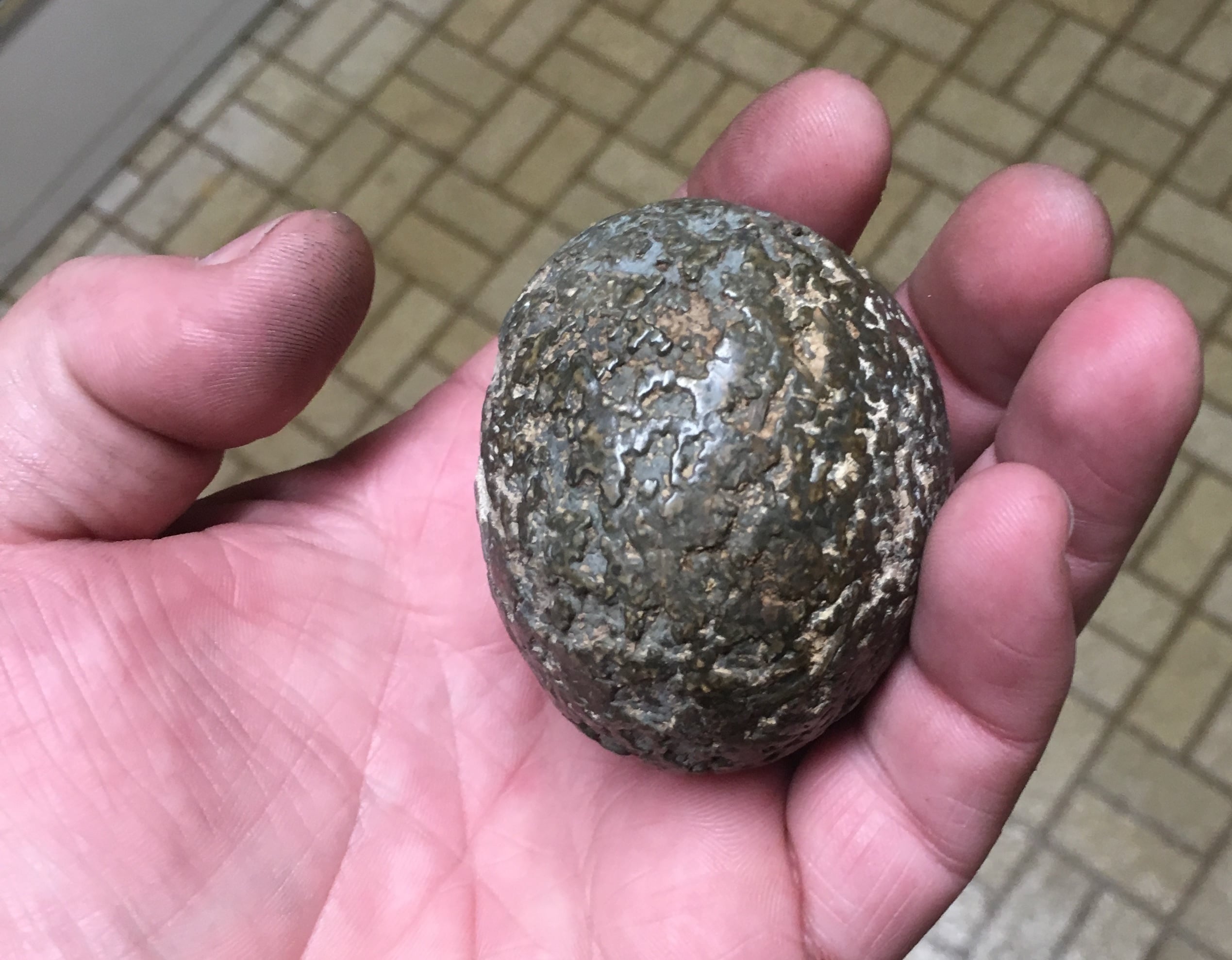 Concretion, Ball, Geode, or Fossil? - Fossil ID - The Fossil Forum