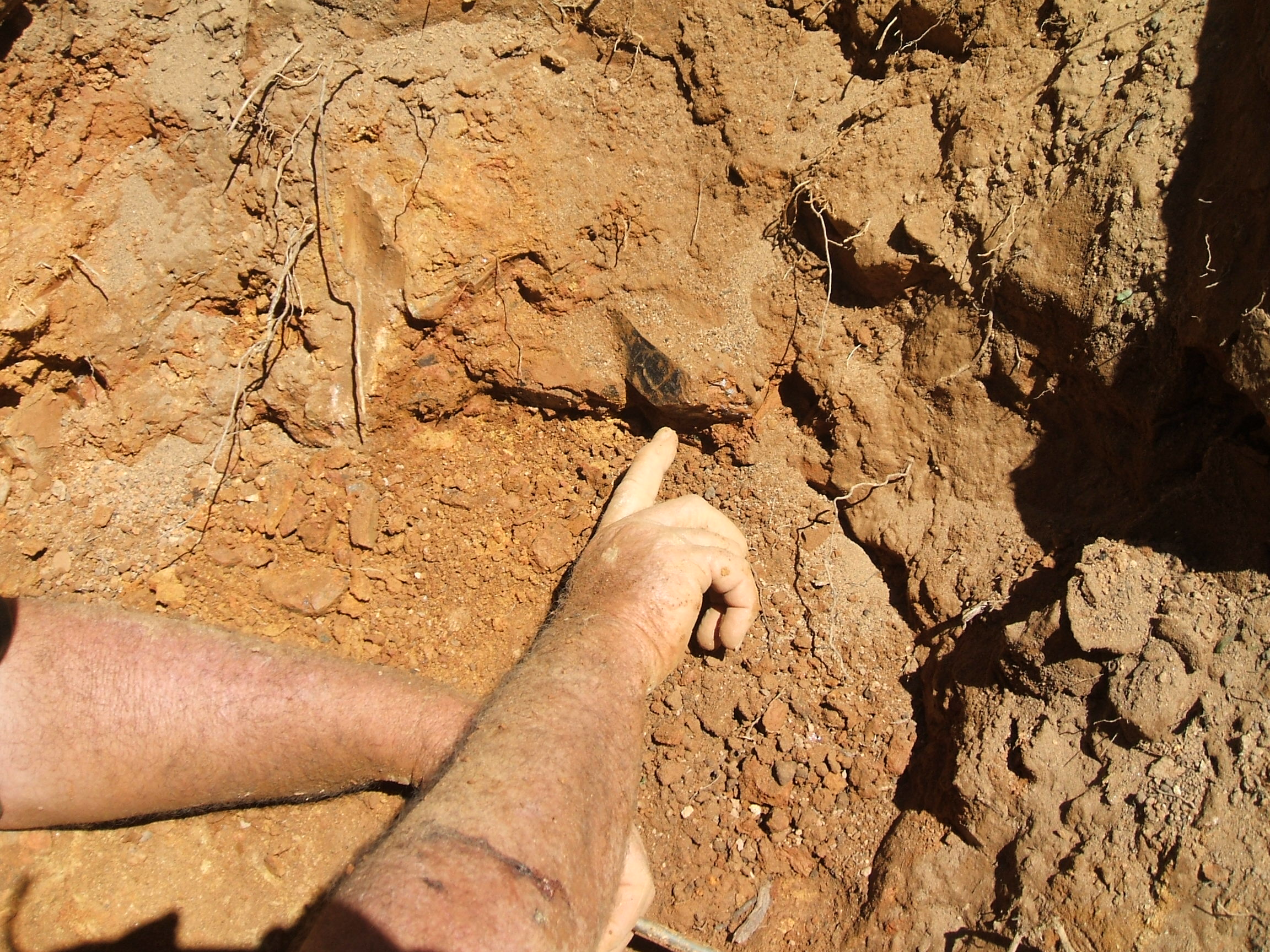 OH what We will do to find some rocks! - Page 2 - Rocks & Minerals ...