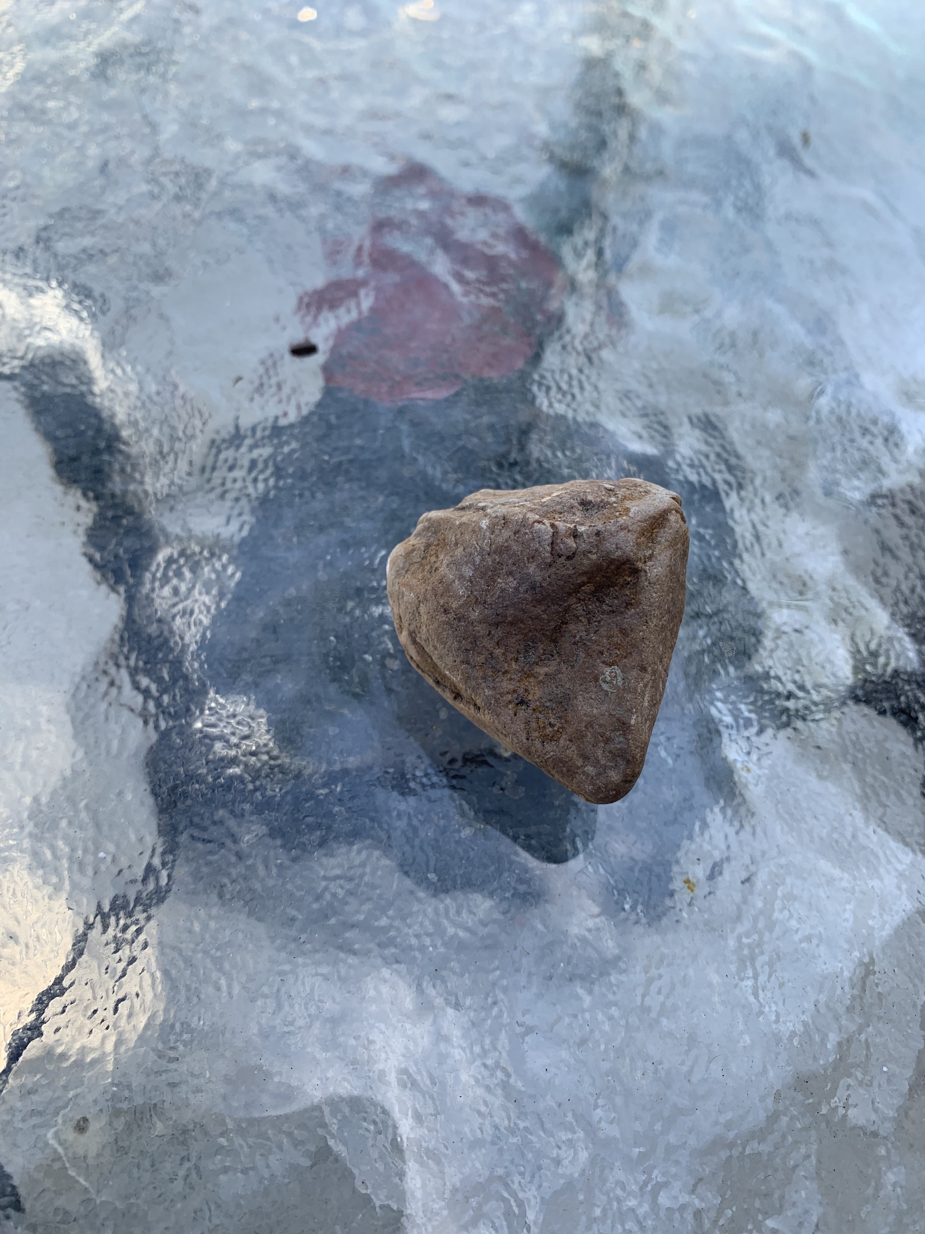 Tooth like fossil - Rocks & Minerals - The Fossil Forum