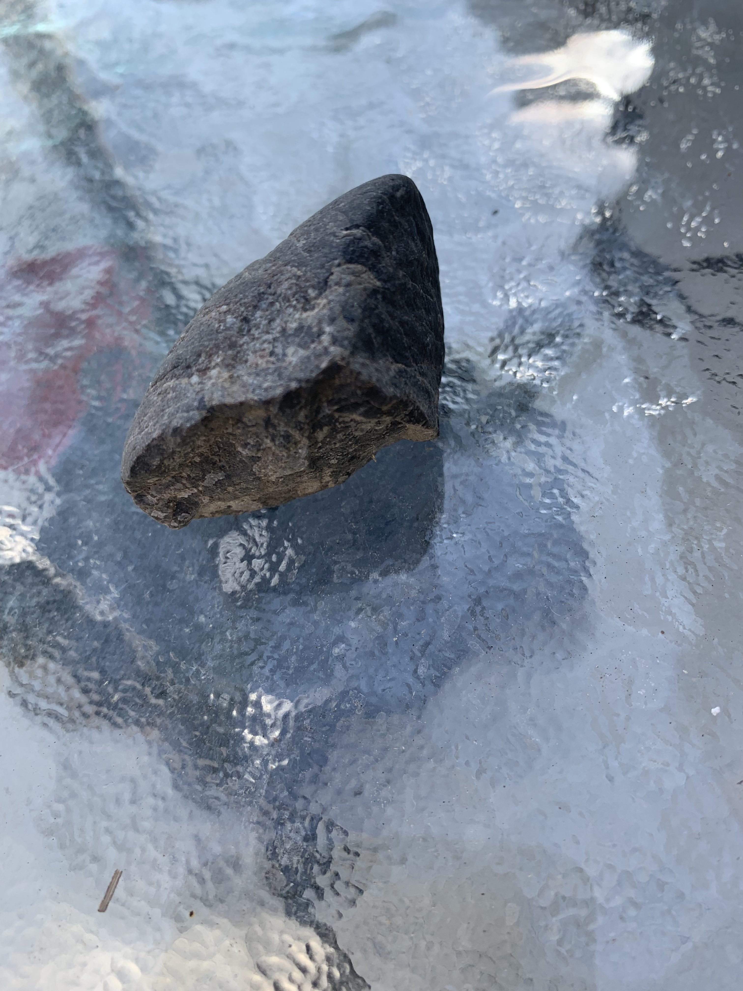 Fossil - Rocks & Minerals - The Fossil Forum