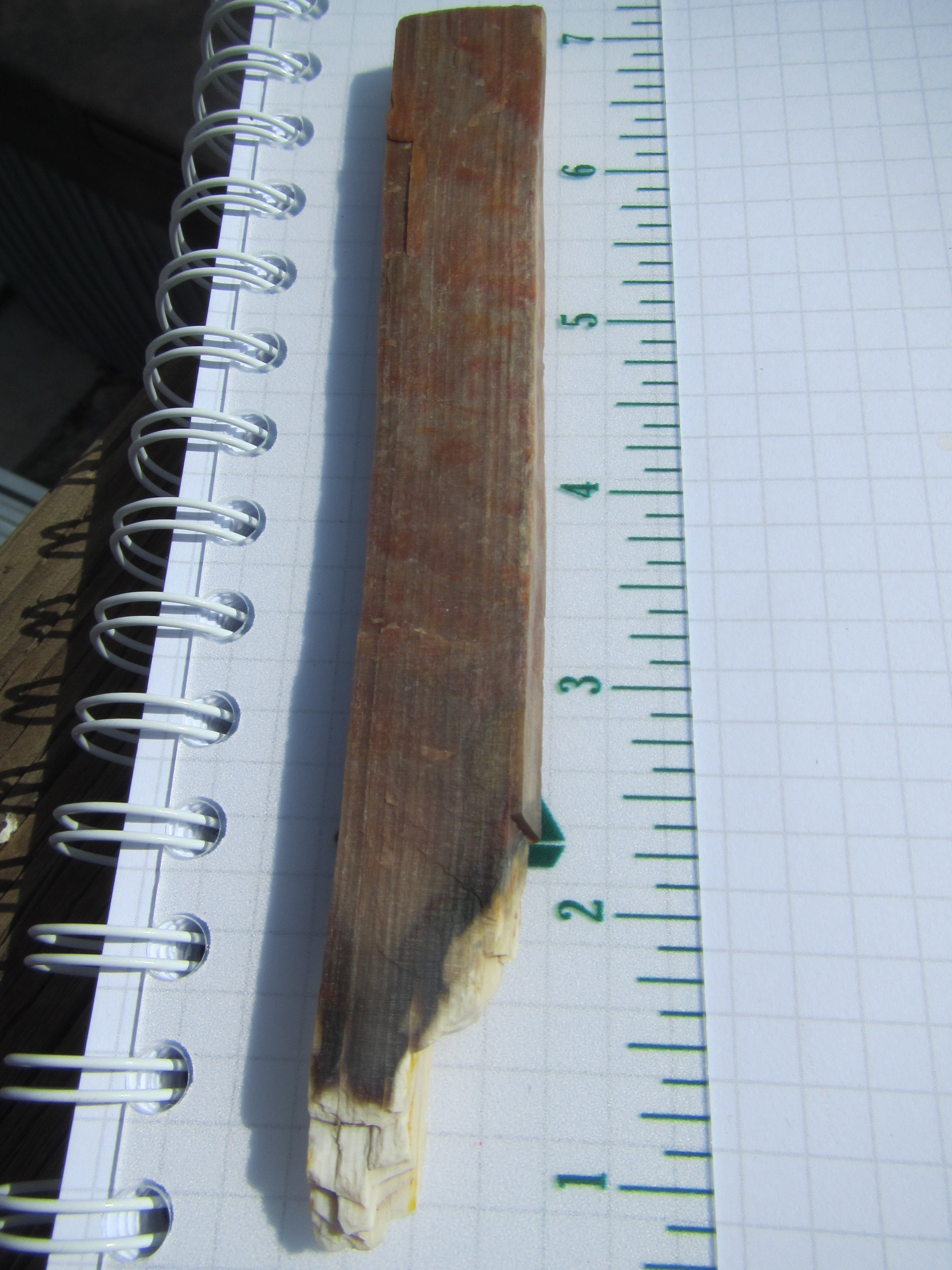 Petrified burnt stick - Fossil ID - The Fossil Forum