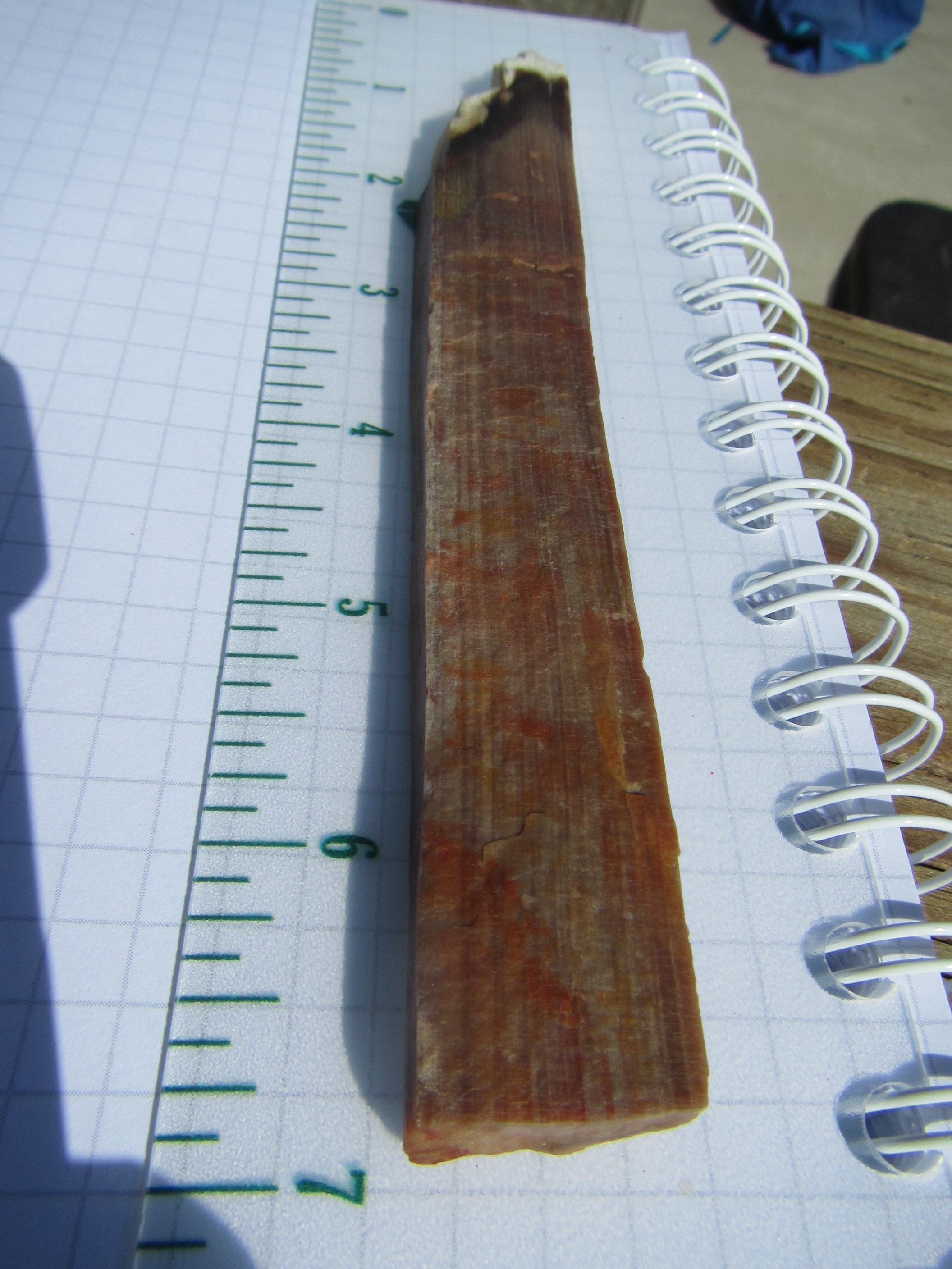 Petrified burnt stick - Fossil ID - The Fossil Forum