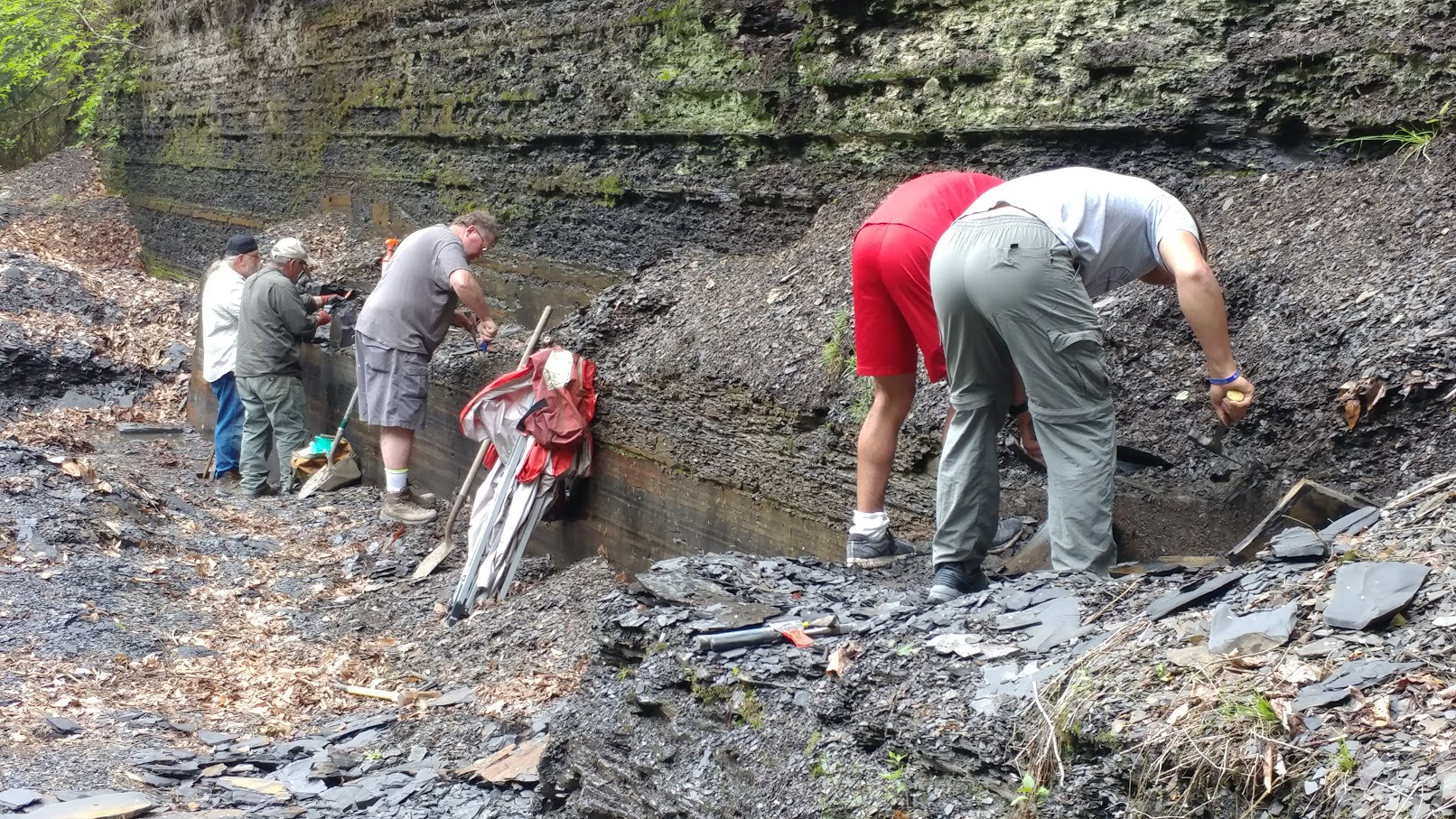 Hunting for Pyritized Triarthrus Trilobites - Fossil Hunting Trips ...