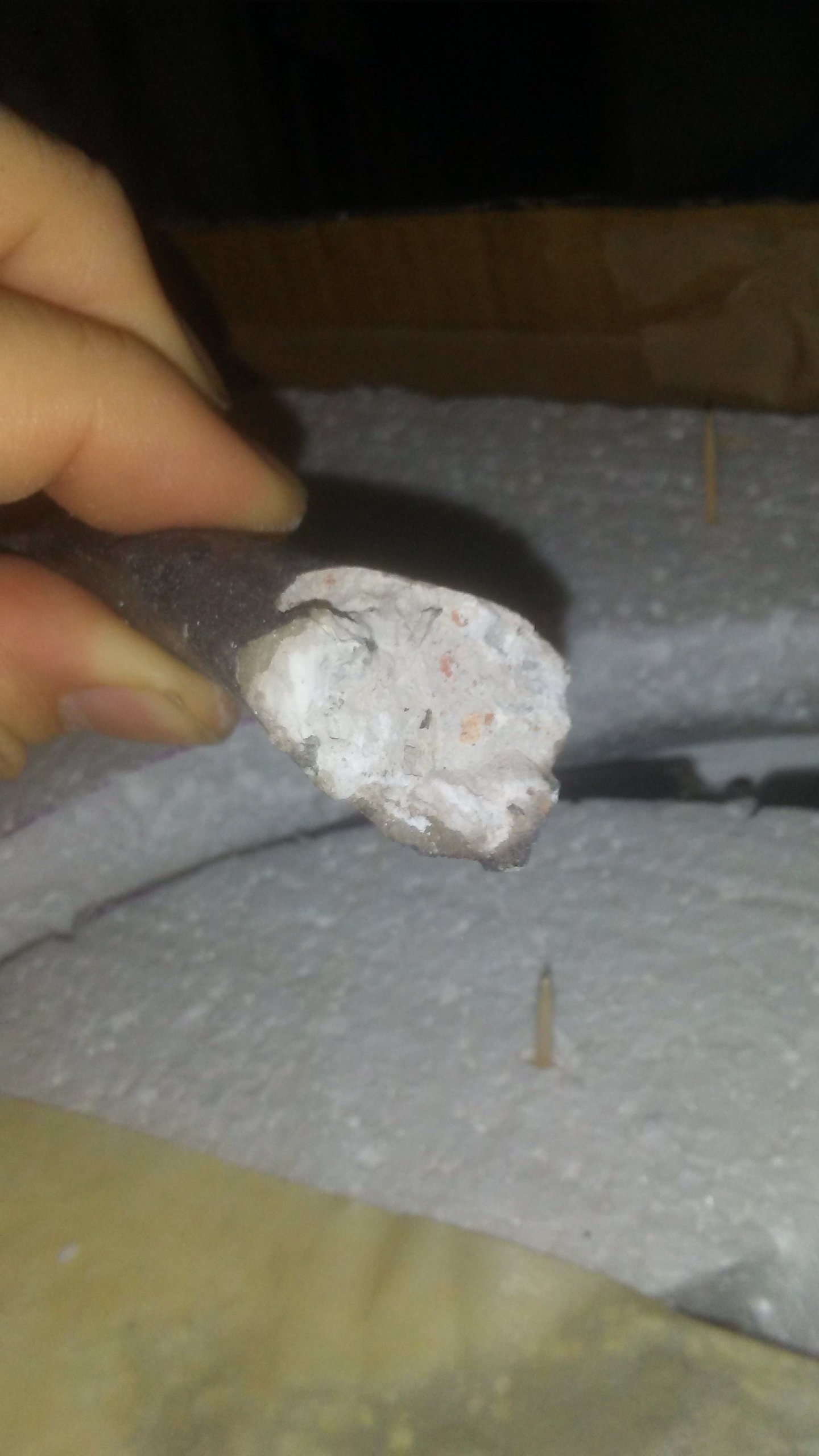 Allosaurus fragilis rib? Is it authentic? Broken! - Is It Real? How to ...