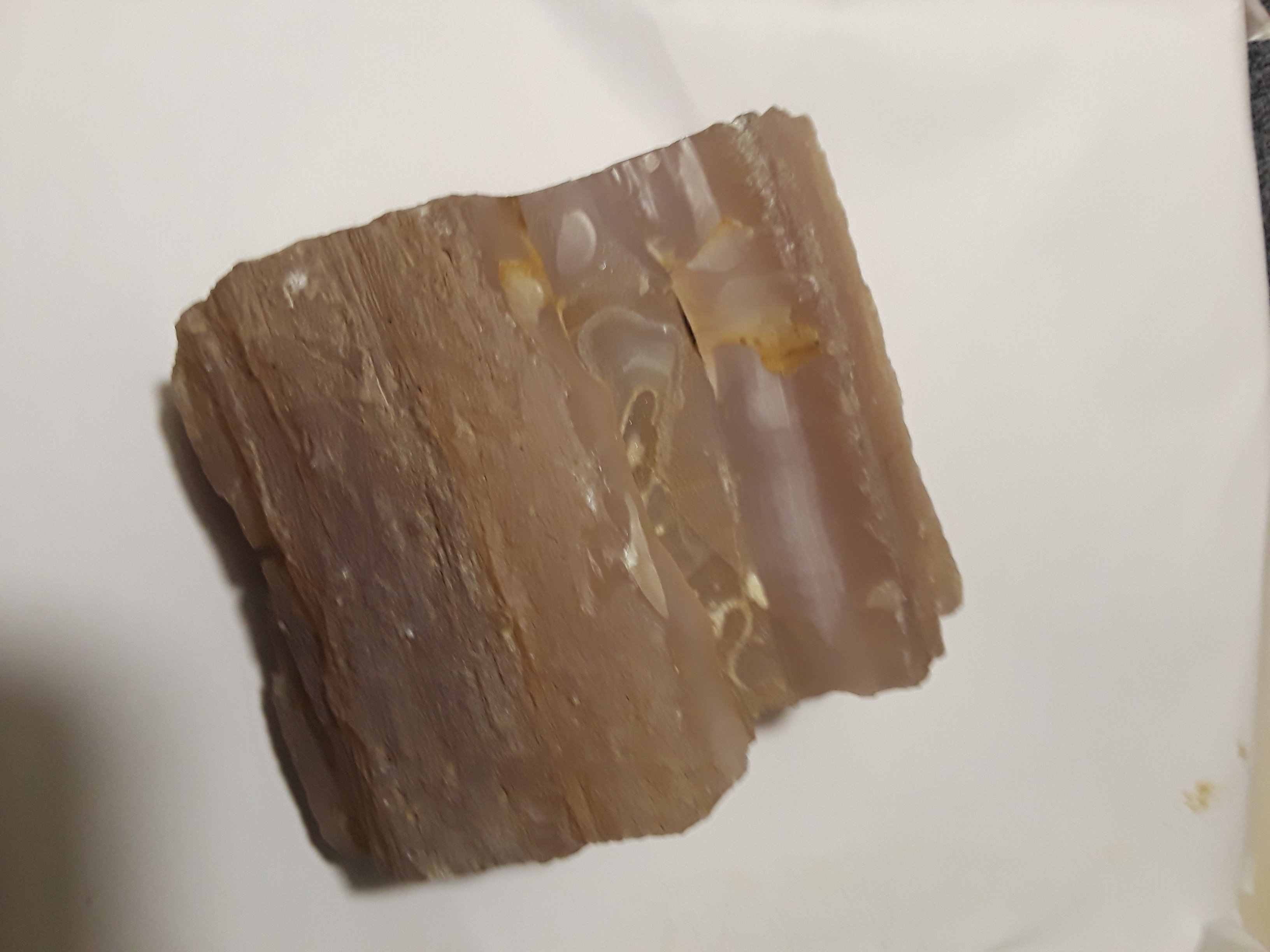 Pink petrified wood - General Fossil Discussion - The Fossil Forum