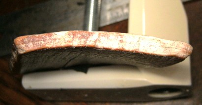 Large Bone Fragment? - Fossil ID - The Fossil Forum