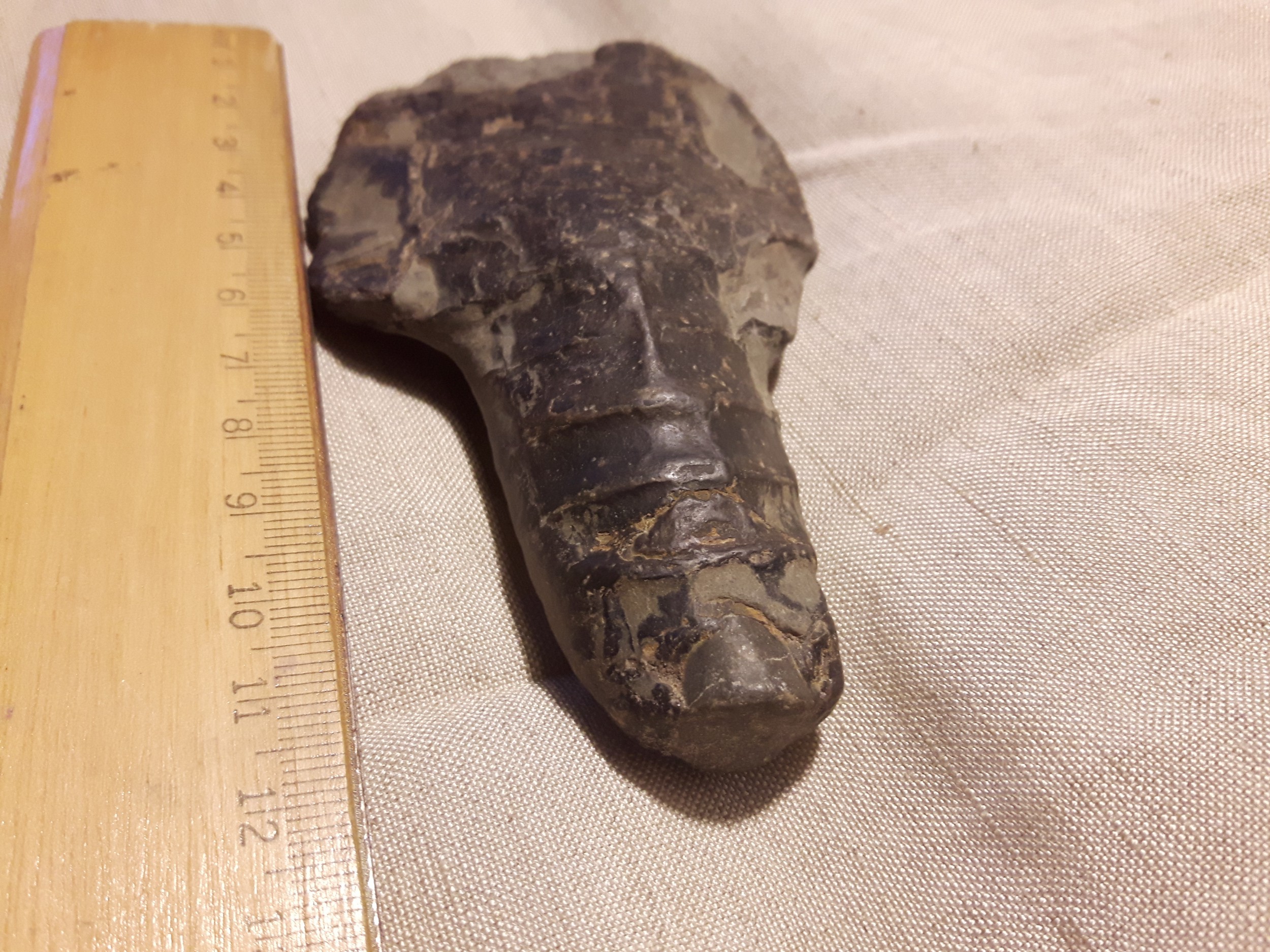 Help identifying odd fossil (Toronto) - Fossil ID - The Fossil Forum