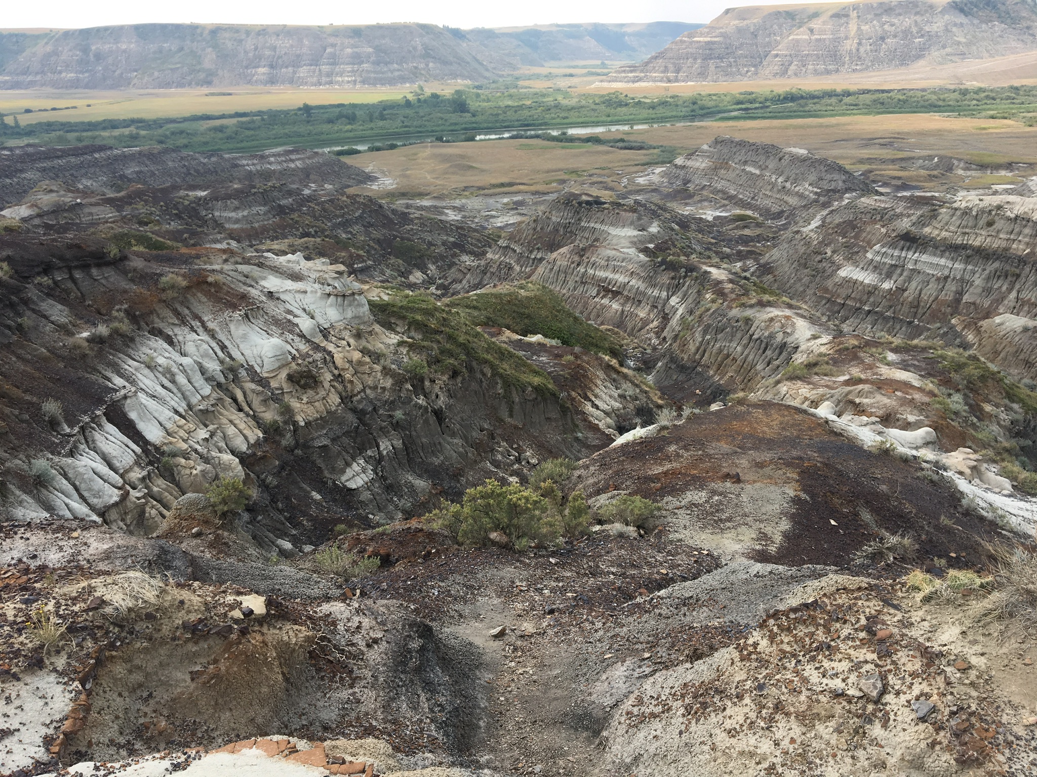 Fossil Hunting Near Drumheller, Alberta - Fossil Hunting Trips - The ...
