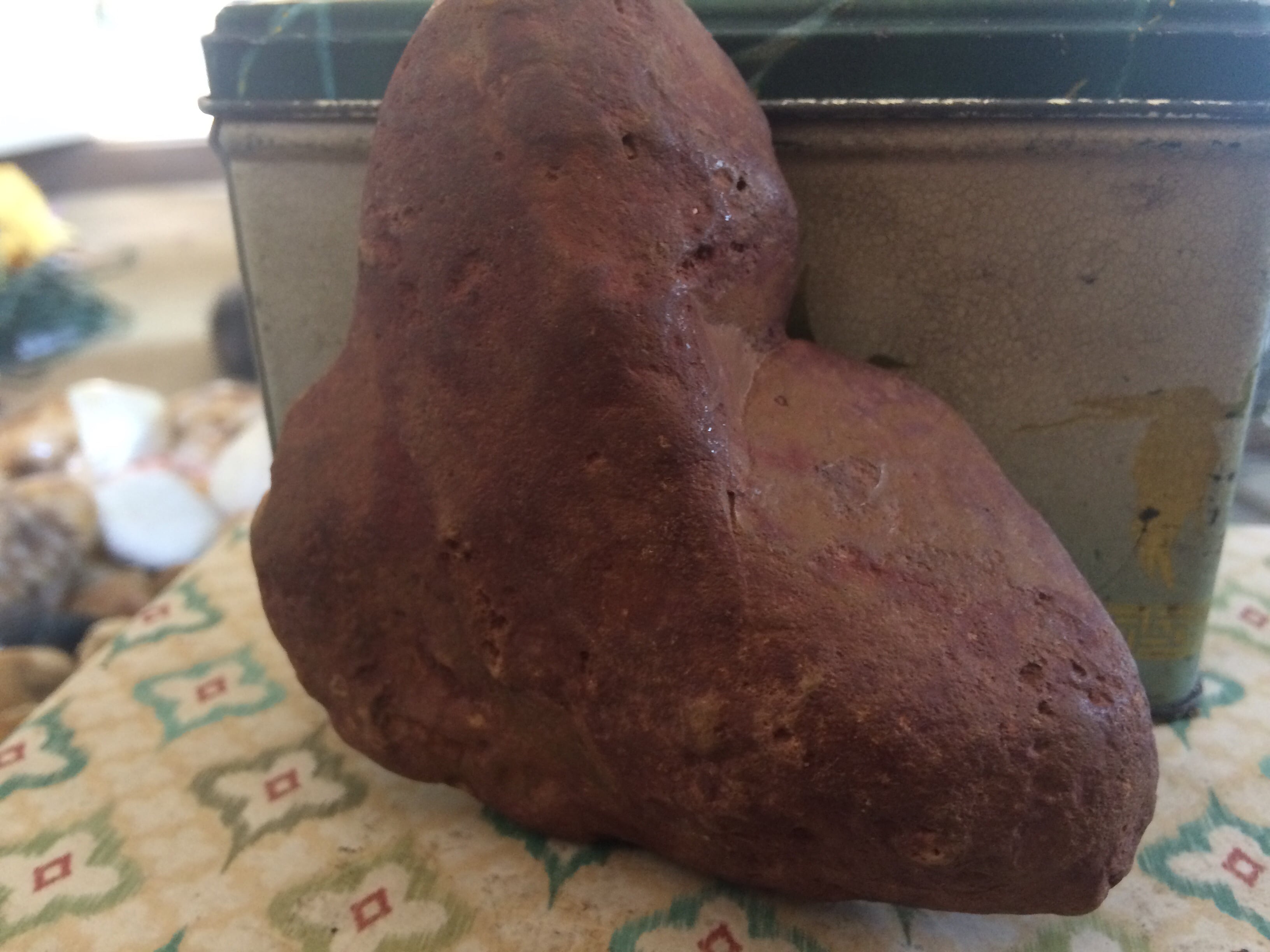Tooth or horn shaped rock? - Fossil ID - The Fossil Forum