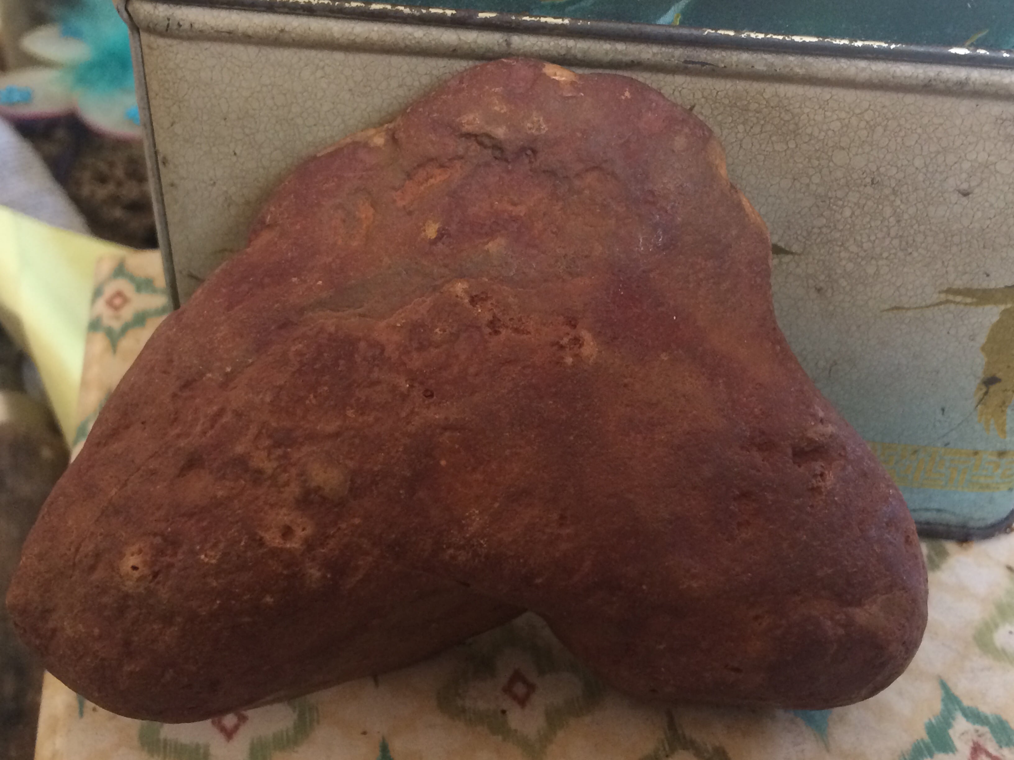 Tooth or horn shaped rock? - Fossil ID - The Fossil Forum