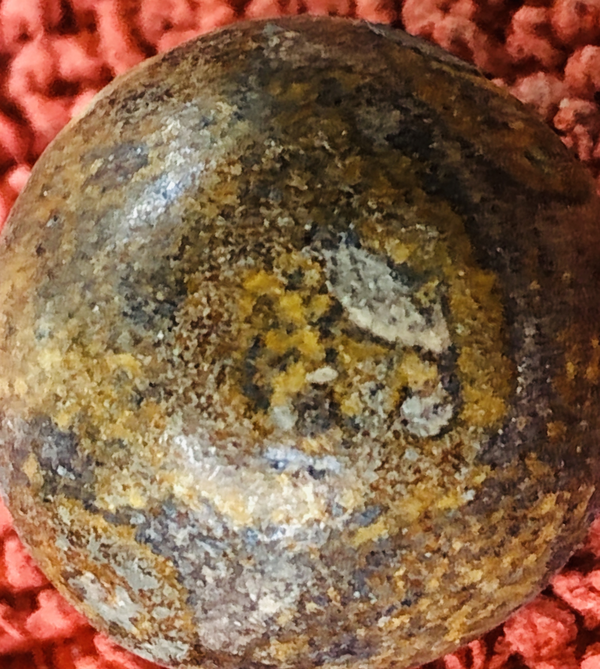 Fossil Gum Ball? - Fossil ID - The Fossil Forum