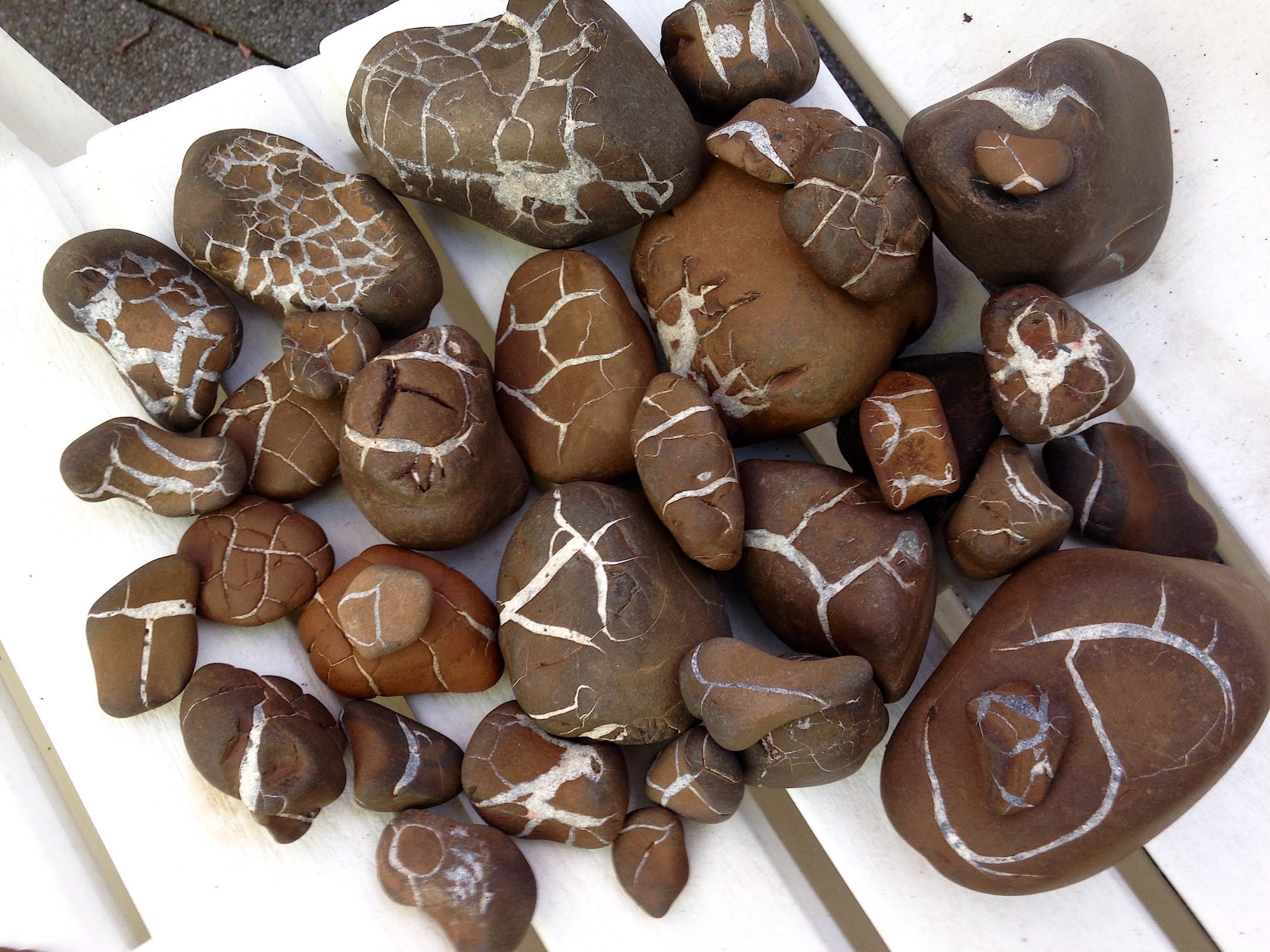 Septarian, nodule - Rocks & Minerals - The Fossil Forum