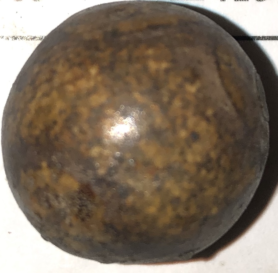 Fossil Gum Ball? - Fossil ID - The Fossil Forum