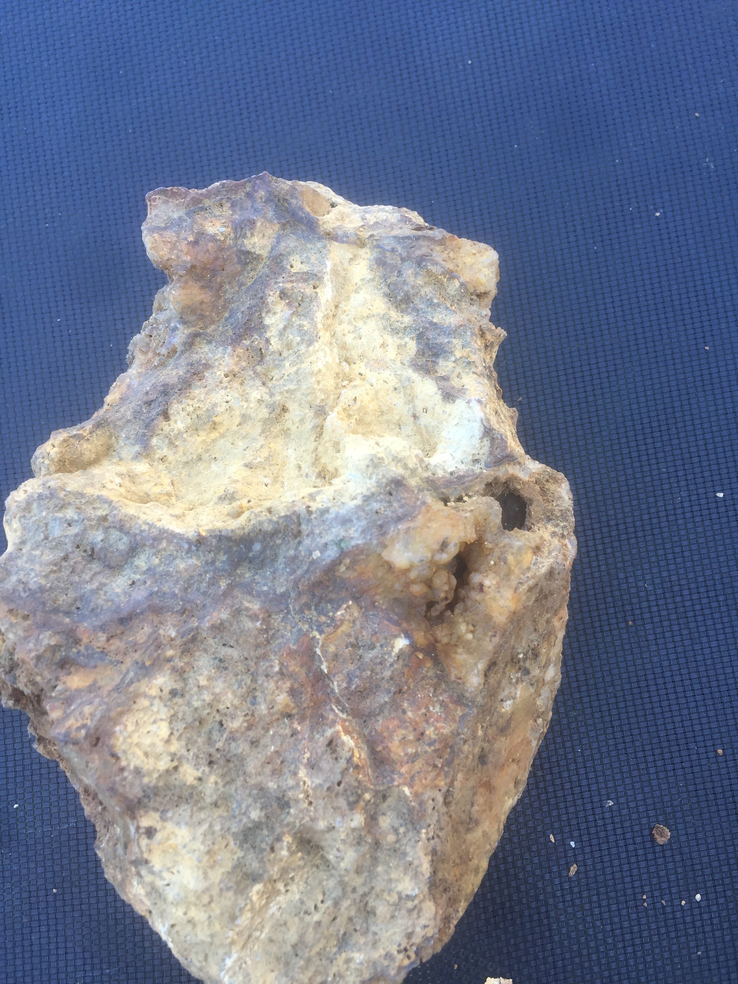 broken please identify - Fossil ID - The Fossil Forum