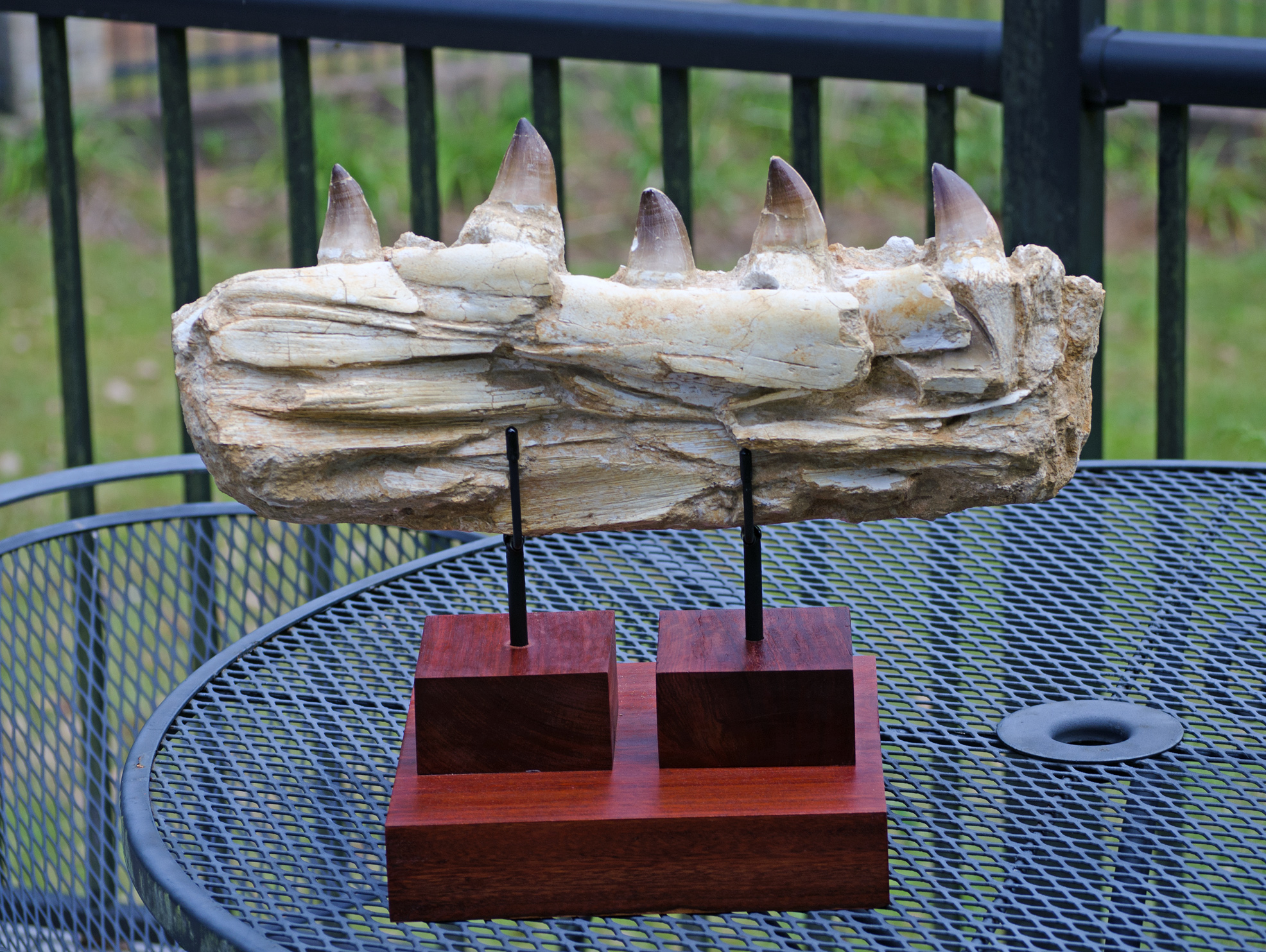 MAKE A STAND! - Fossil Preparation - The Fossil Forum