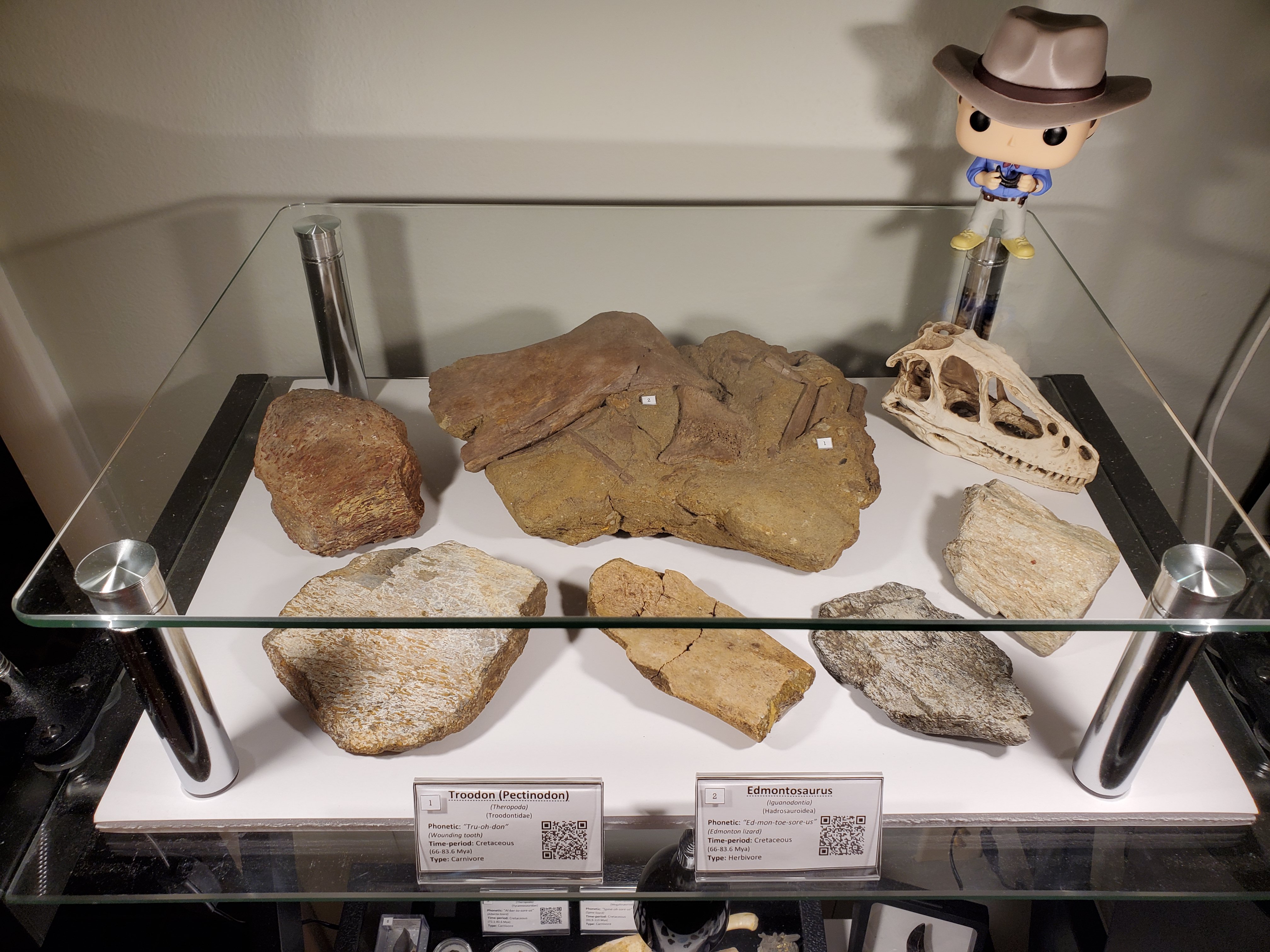 New fossil labels for my small collection - Member Collections - The ...
