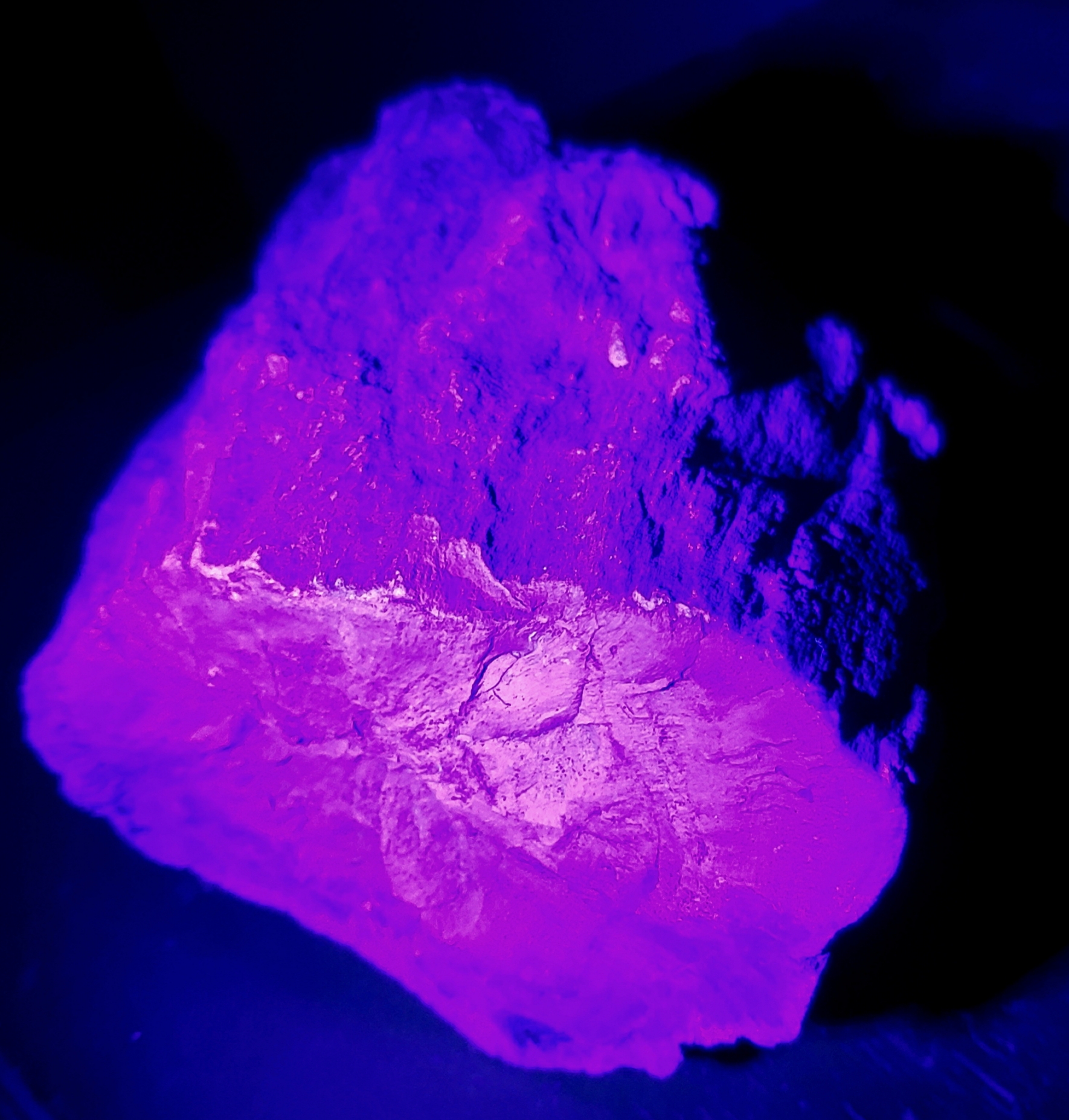 Fluorescent Fossils Under Uv Light - Page 2 - Questions & Answers - The ...