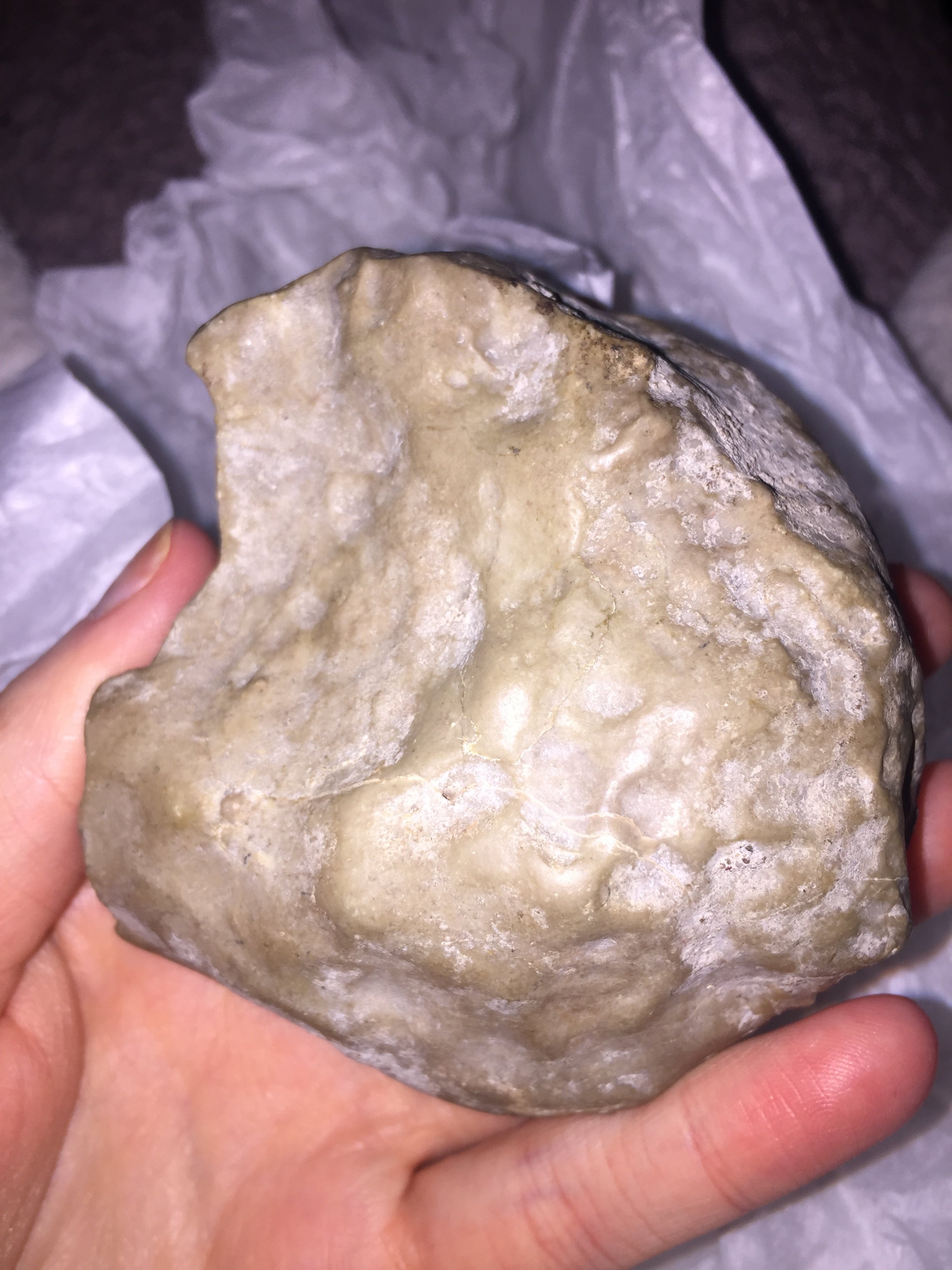 Real or fake ammonite - Is It Real? How to Recognize Fossil ...