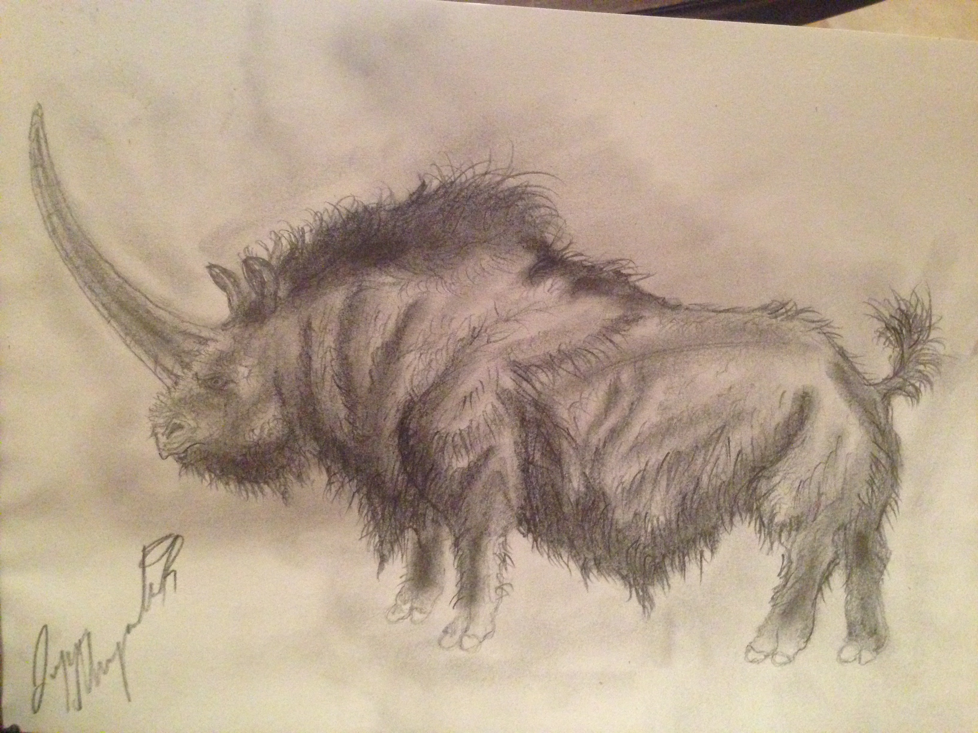 Elasmotherium sibiricum - Paleo Re-creations - The Fossil Forum