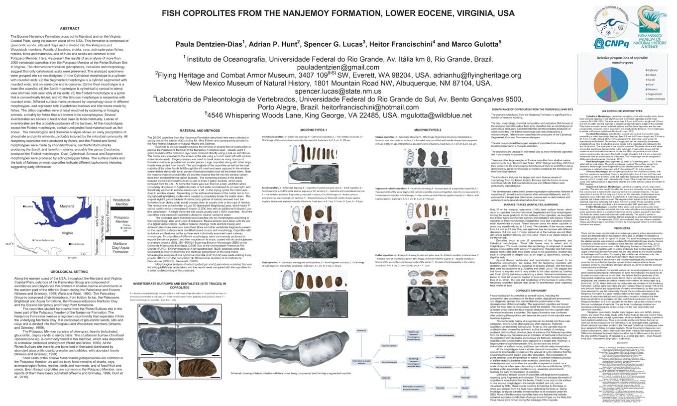 Coprolite Identification - Fossil ID - The Fossil Forum