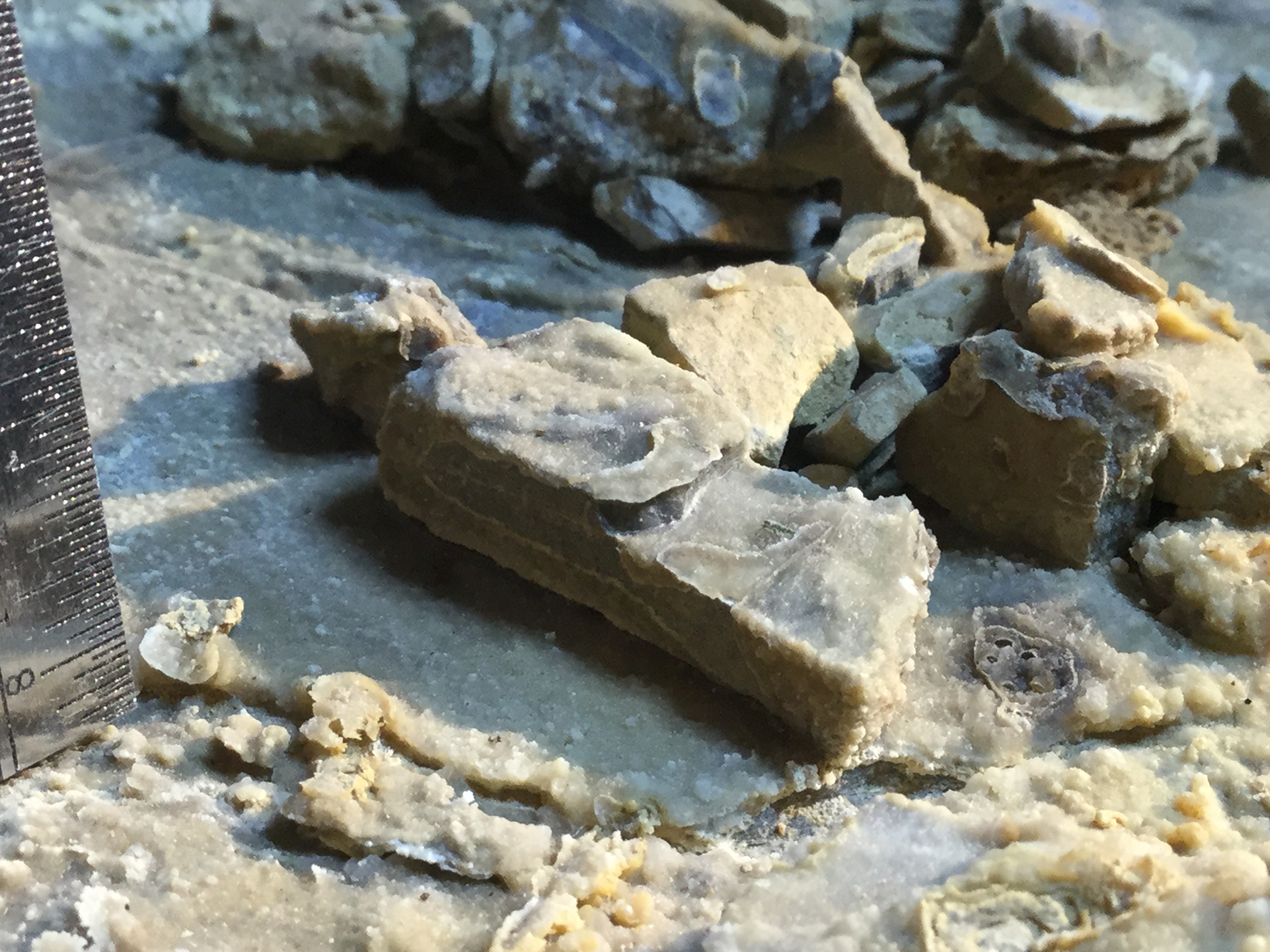 Cave floor slab? (New terms to me... clastic vs chemical sedimentary ...