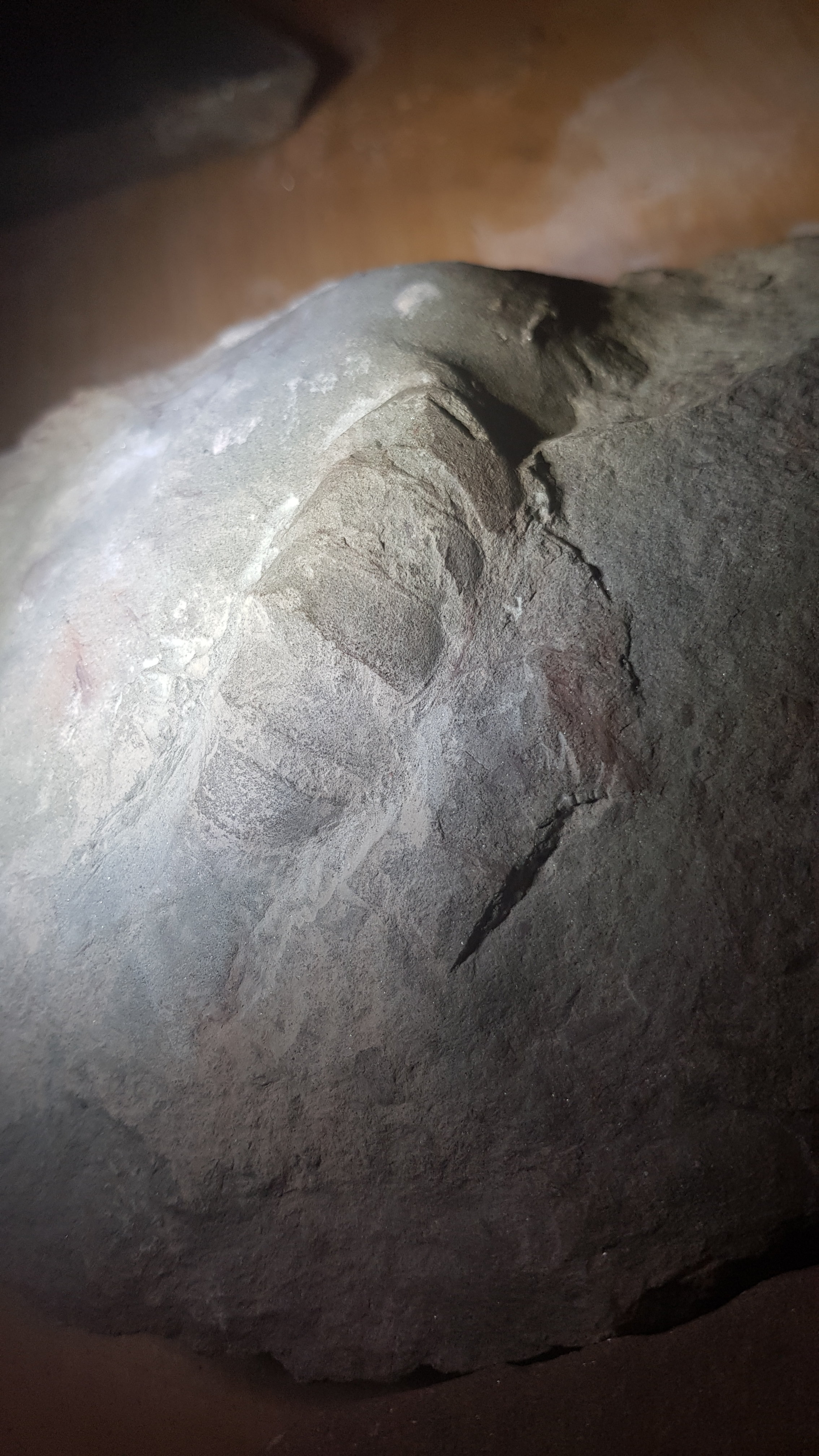 First trip to Achanarras quarry, Caithness, Scotland - Fossil Hunting ...
