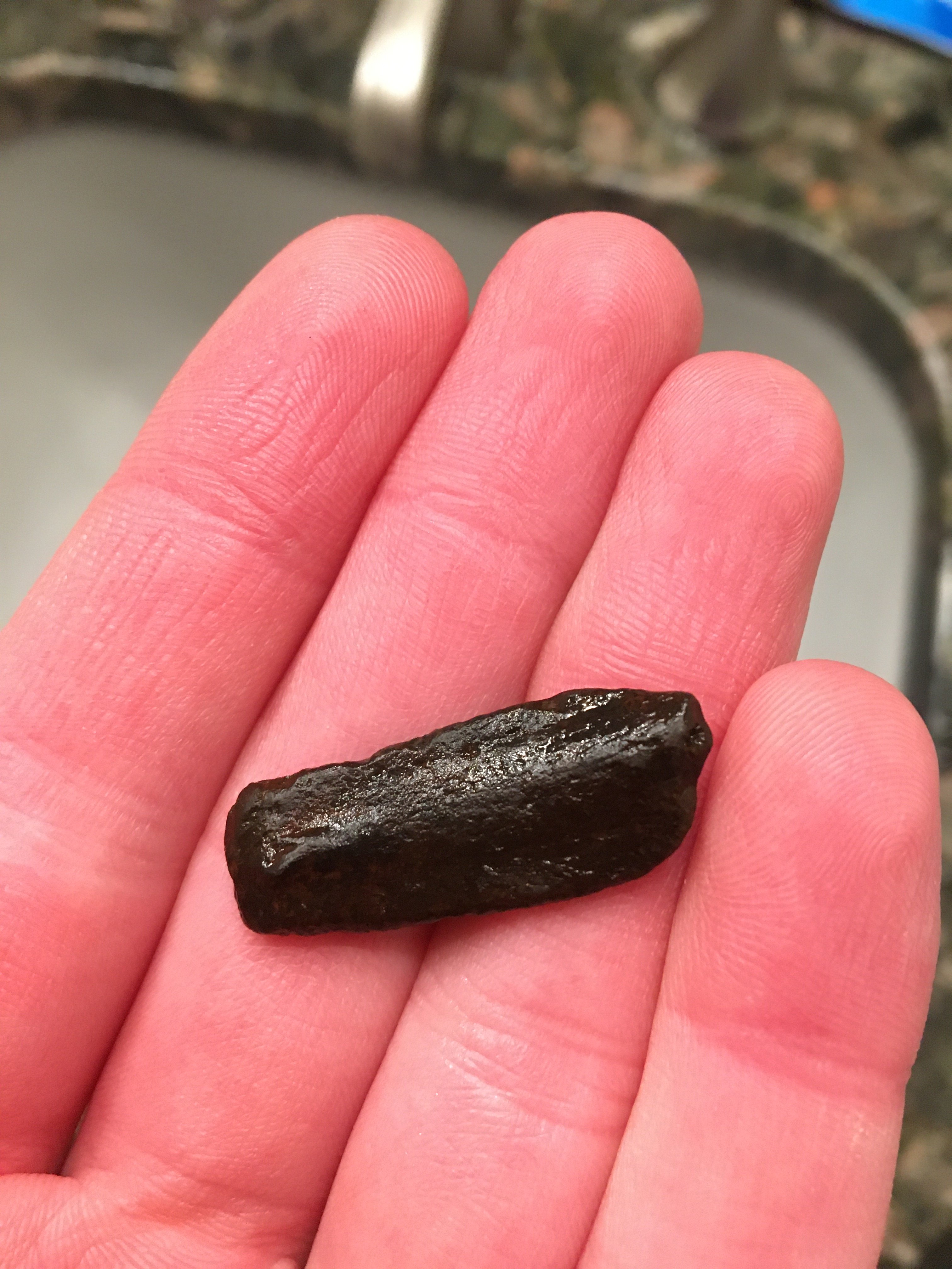Last NJ Cretaceous trip of the decade - Fossil Hunting Trips - The ...