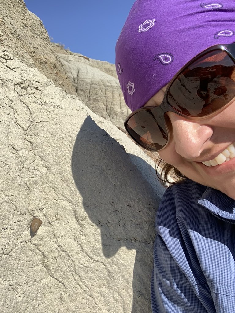 Alberta Fossil Hunting - Fossil Hunting Trips - The Fossil Forum