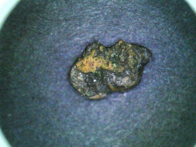 Fish Poo ? - Fossil ID - The Fossil Forum