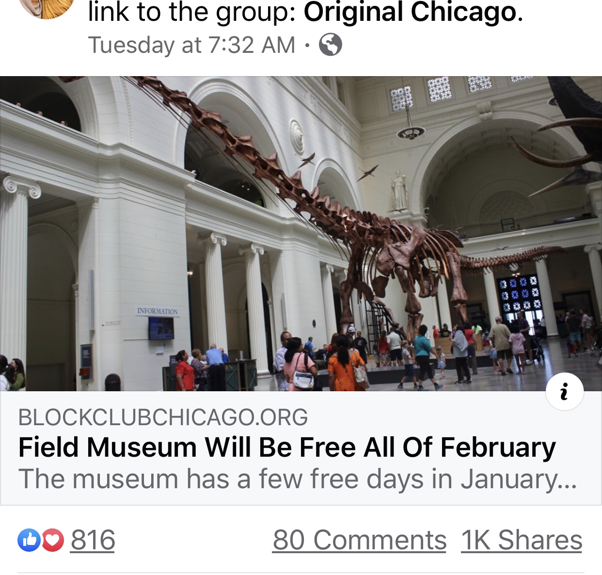 Field Museum Free in February - General Fossil Discussion - The Fossil ...