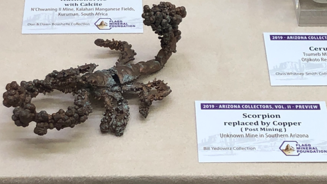 Copper Pseudomorph after a Scorpion - General Fossil Discussion - The ...