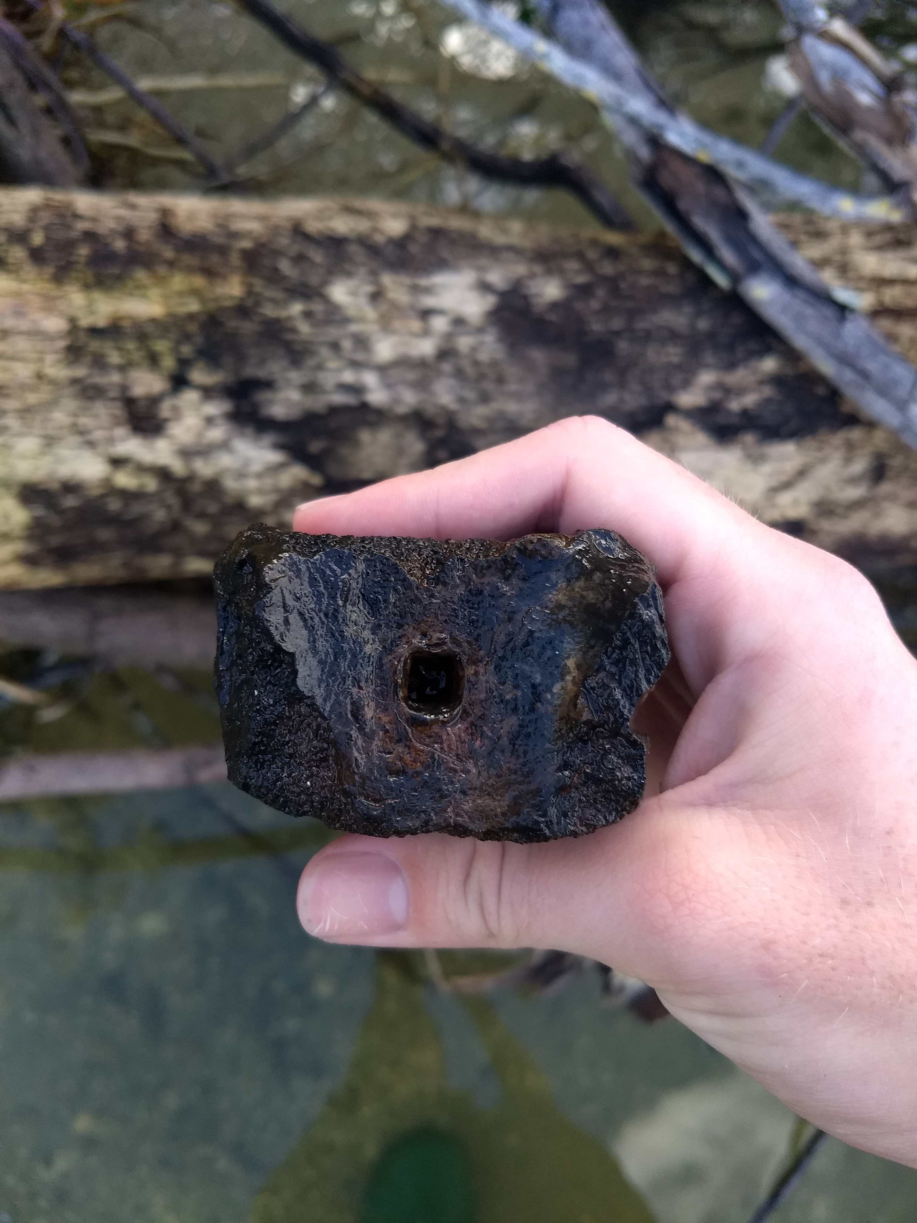 Florida Pleistocene Giant Ground Sloth Vertebra? - Fossil ID - The ...