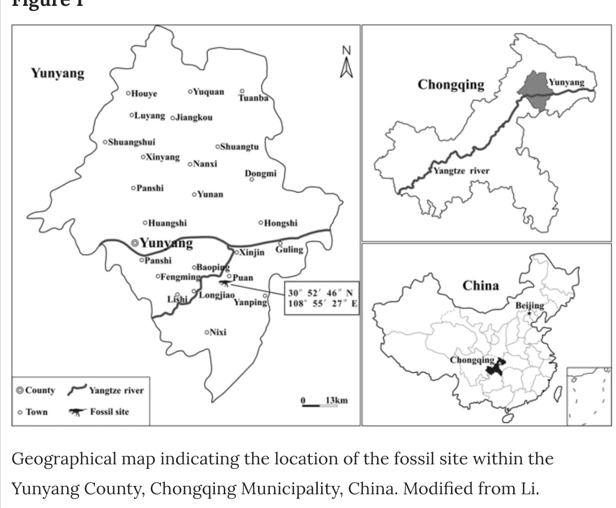 Possible New Meglosauroid from China - Fossil News - The Fossil Forum