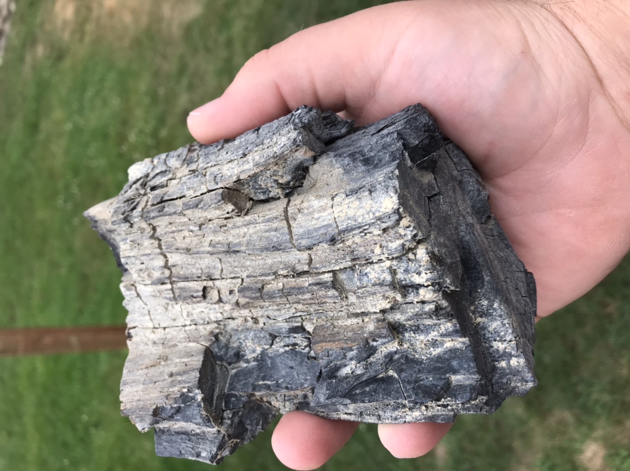 Virtual Fossil Hunting Field Trip. - General Fossil Discussion - The ...