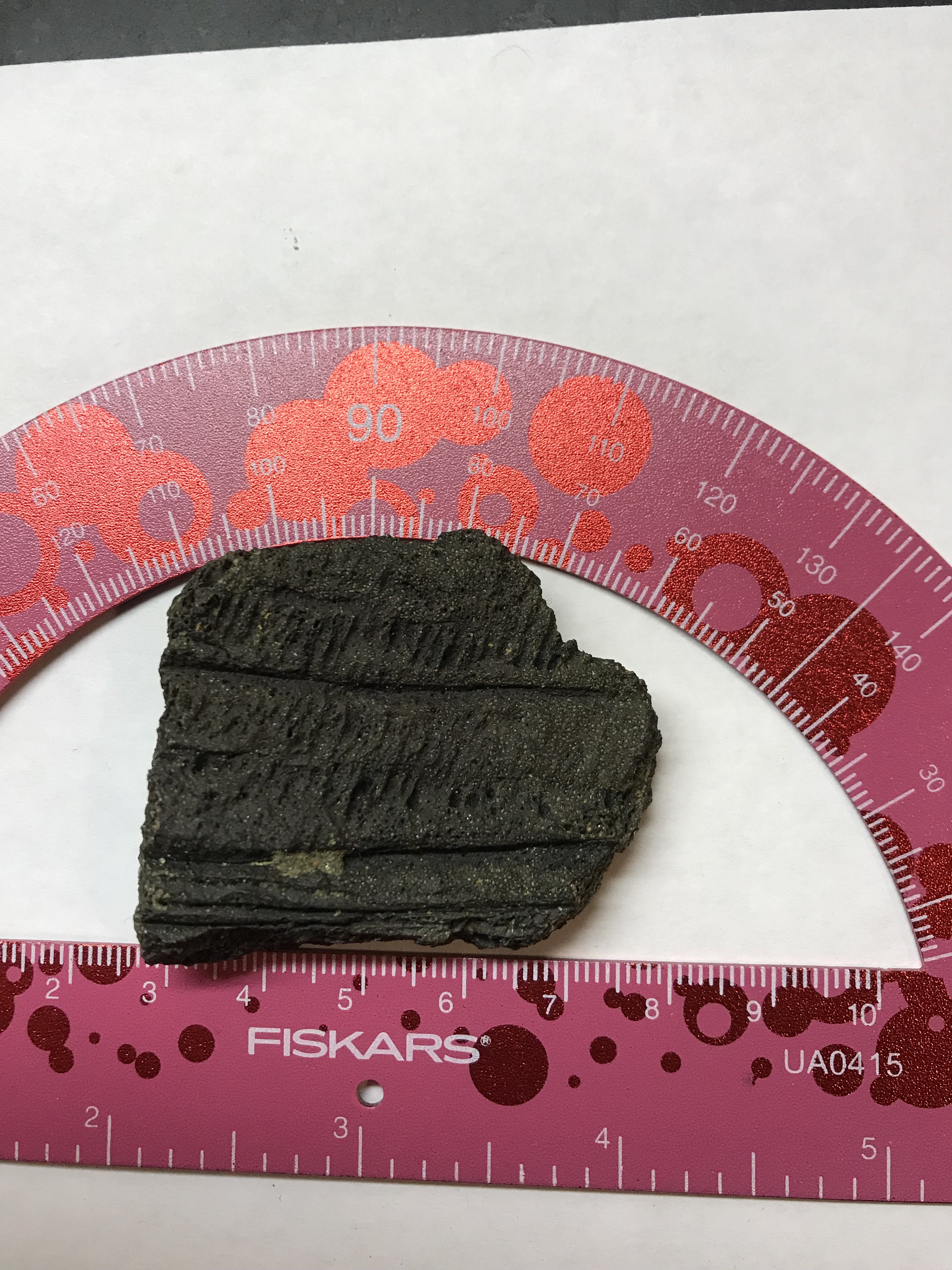 Strange bone pattern - Fossil ID - The Fossil Forum