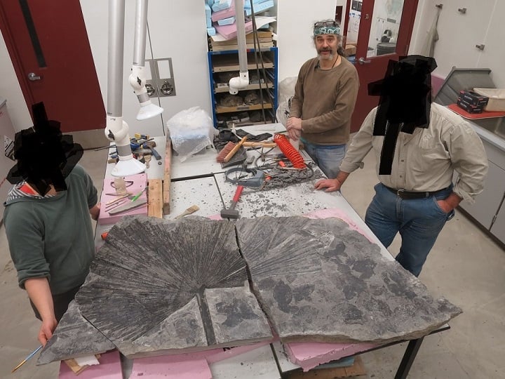Smithsonian Natural History Museum: Fossil Hall, Dinosauria - Page 2 ...